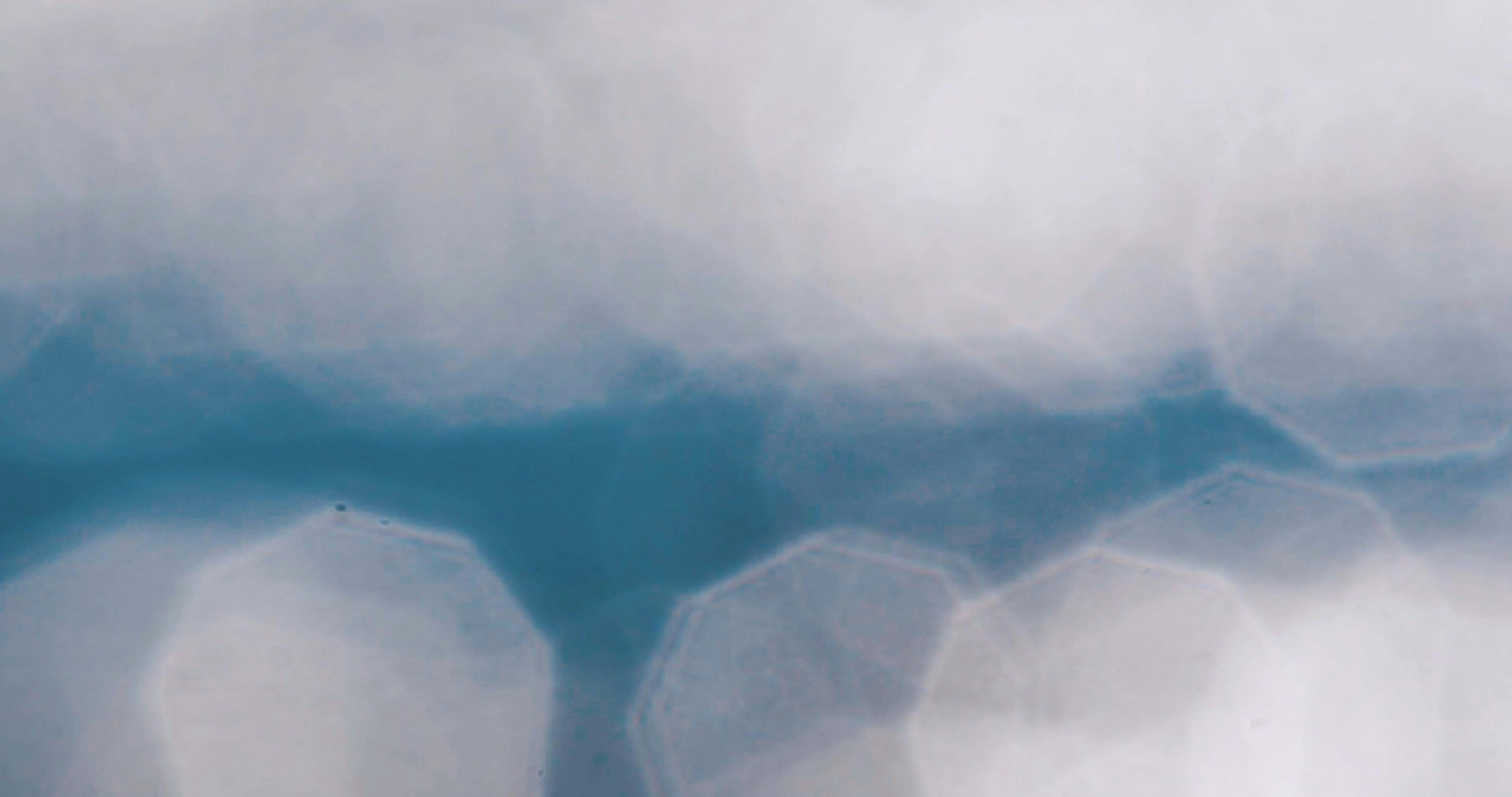 2d Circle 4k Videos, Download The BEST Free 4k Stock Video Footage & 2d ...