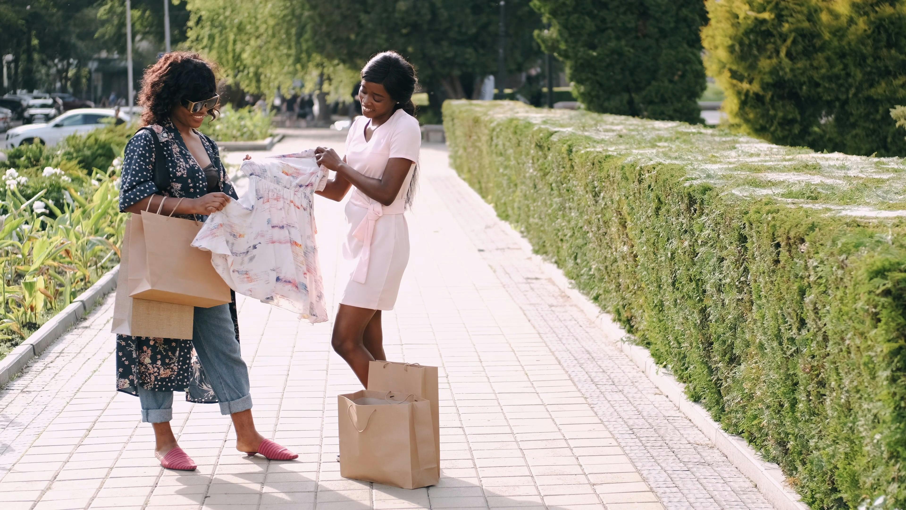 Women Carrying Shopping Bags · Free Stock Video