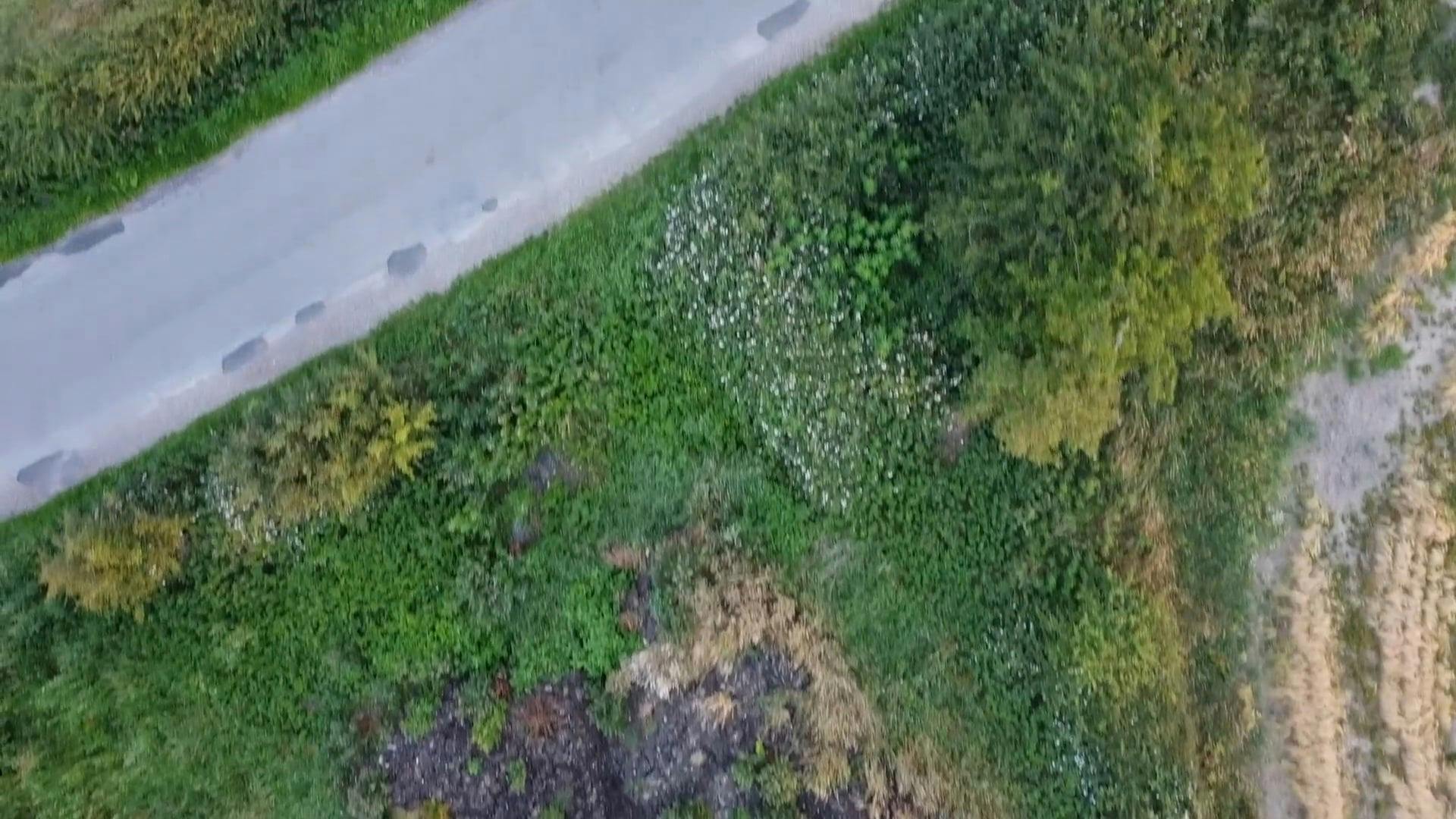 Drone Footage of a Grass Field Free Stock Video Footage, Royalty-Free ...