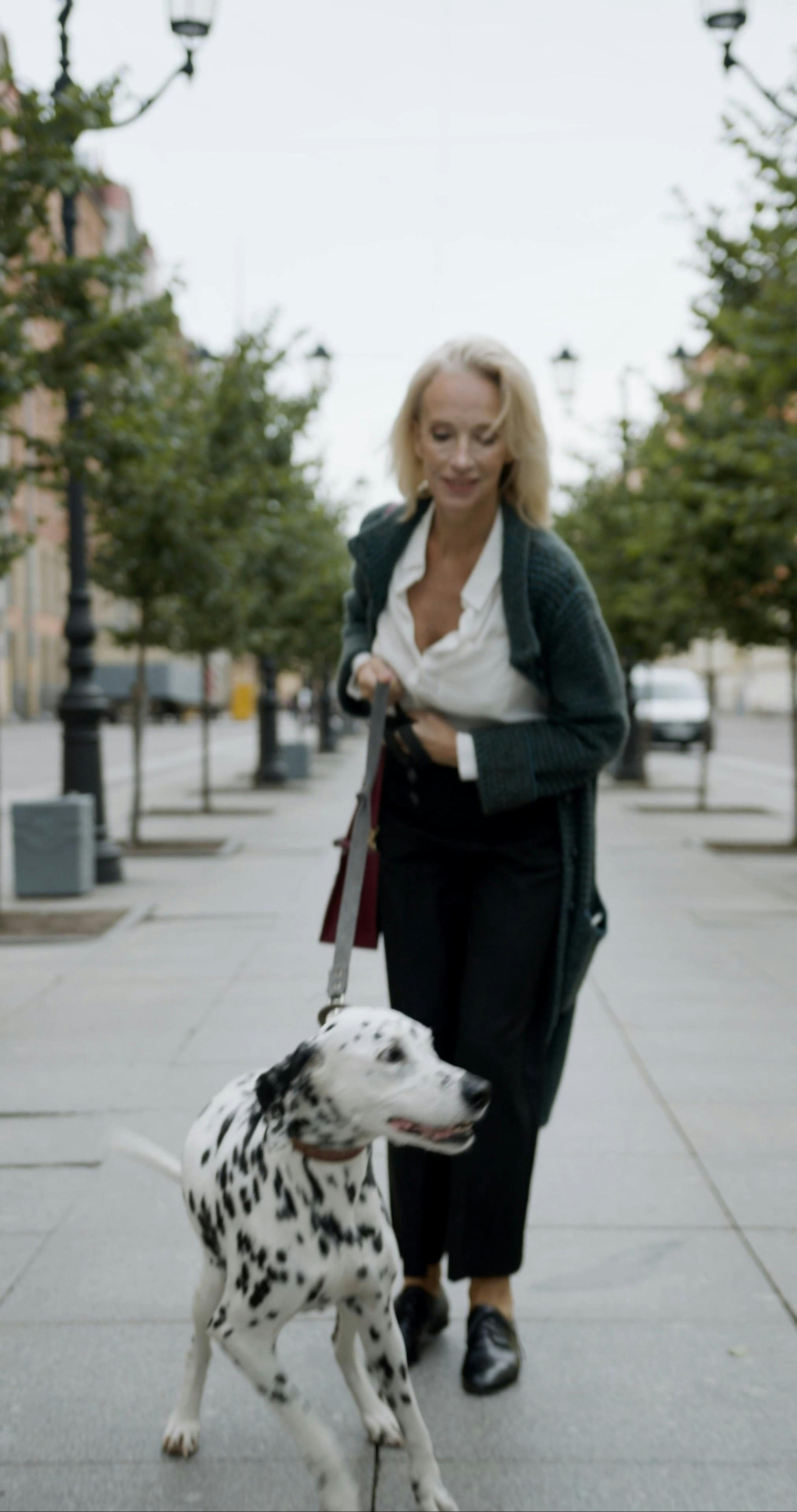 Dotted Path Videos, Download The BEST Free 4k Stock Video Footage ...