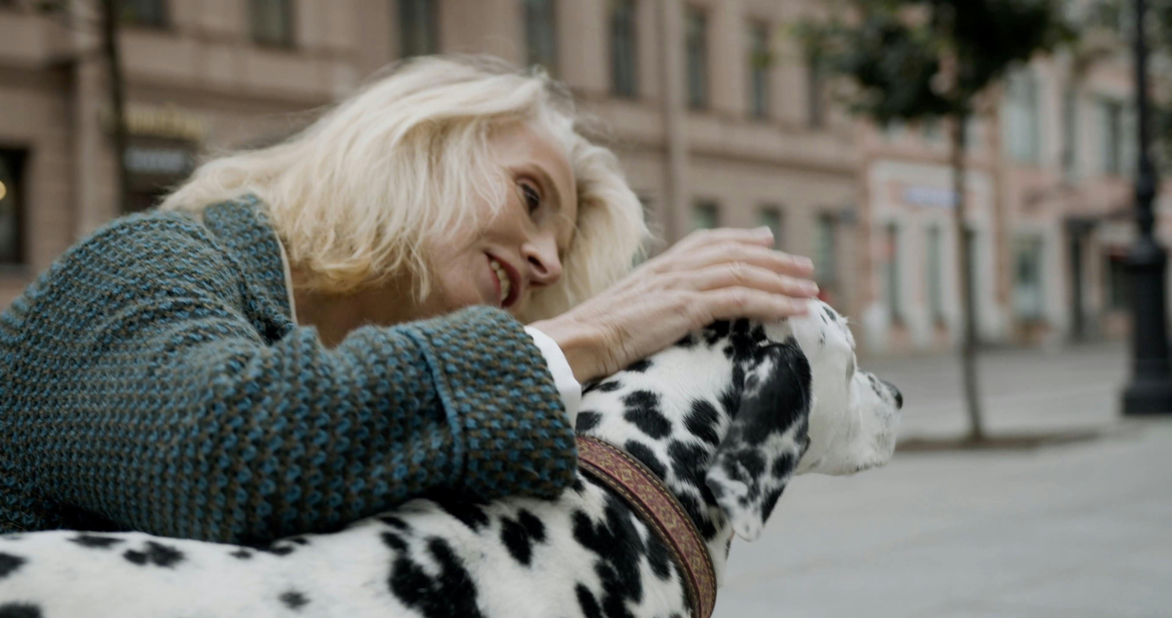 Russian Dog Breeds Videos, Download The BEST Free 4k Stock Video ...