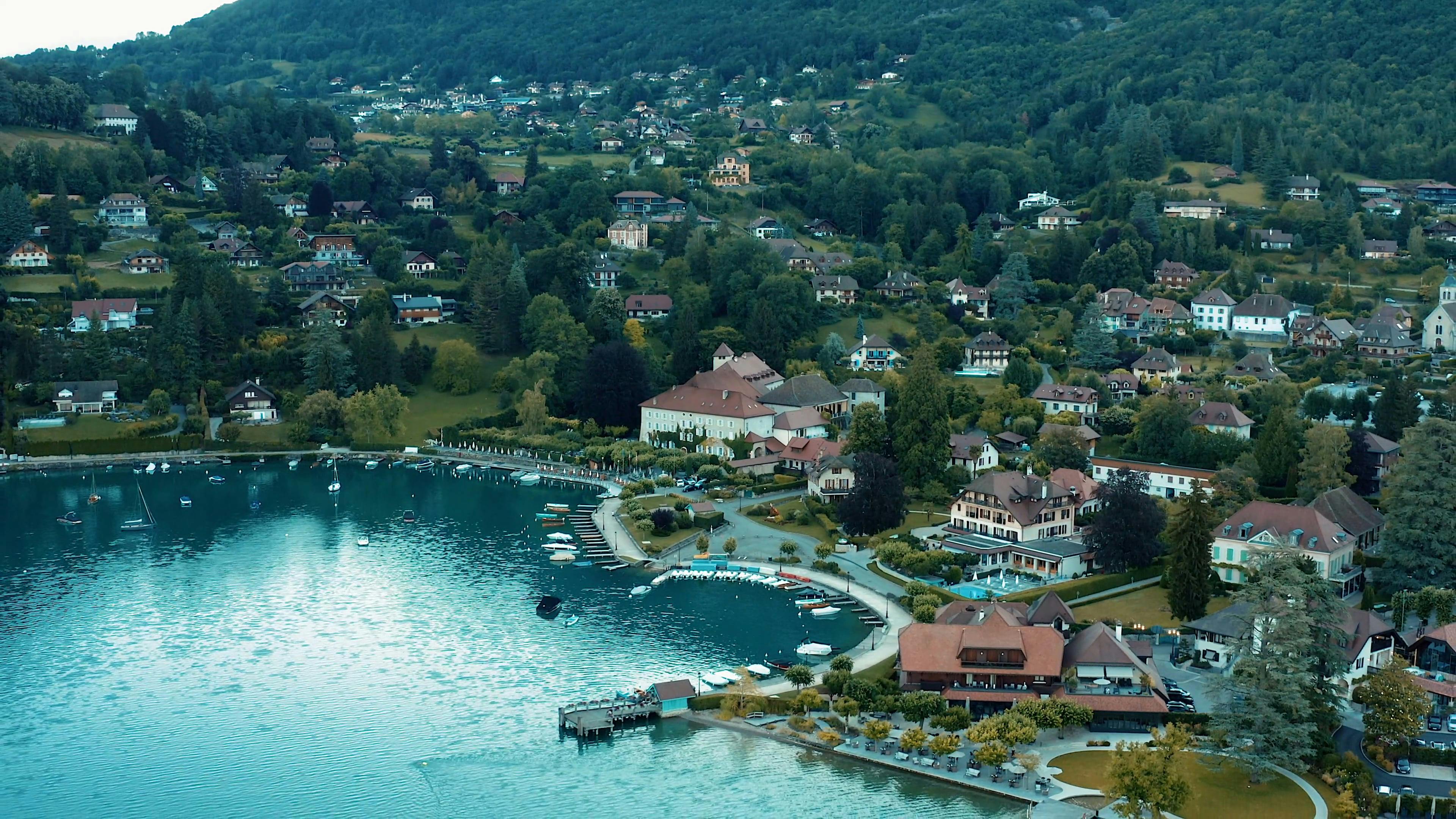 Tree X Remote Bfb Videos, Download Free 4k Stock Video Footage & Tree X ...