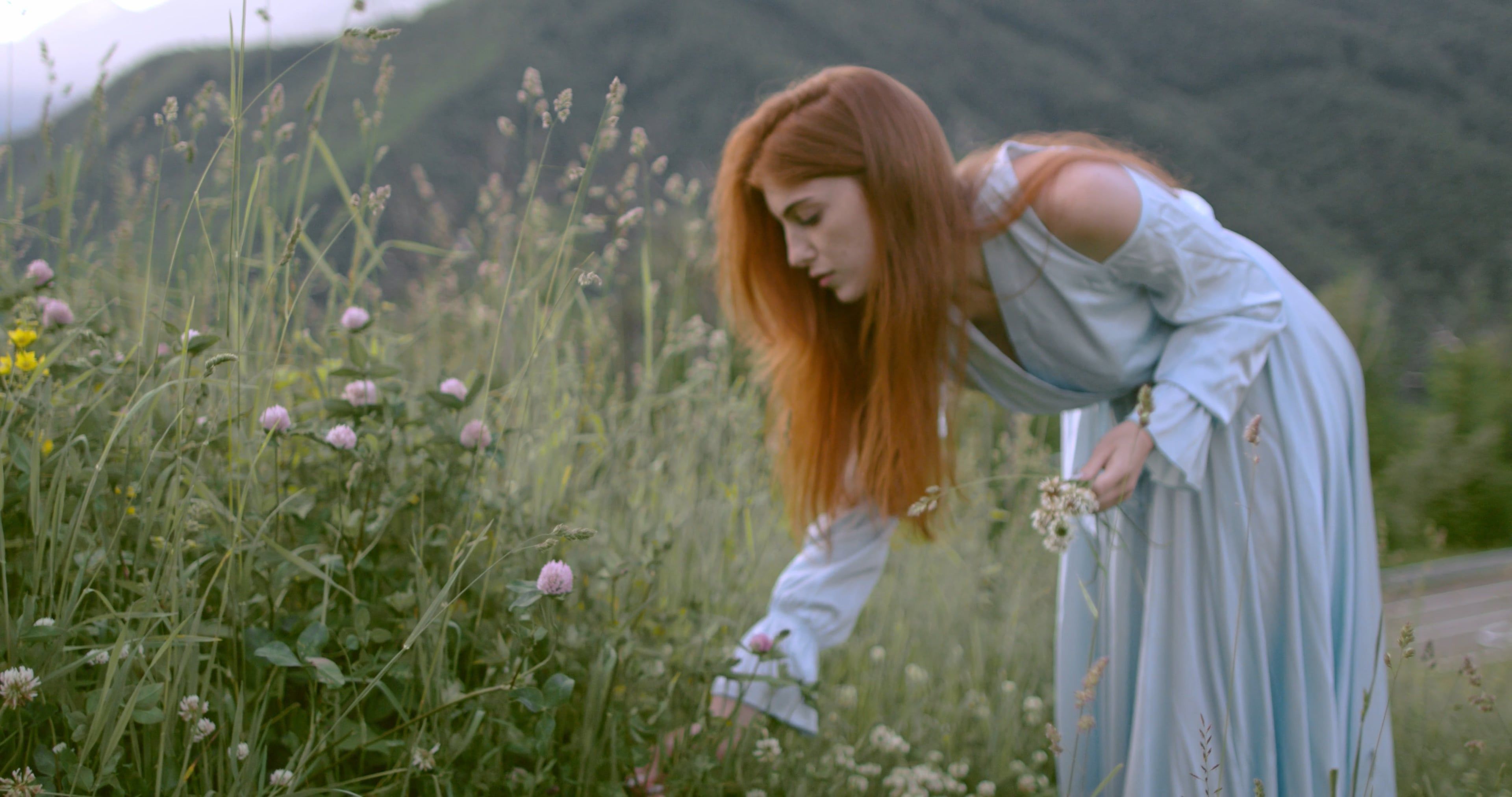 A Woman Picking Flowers · Free Stock Video