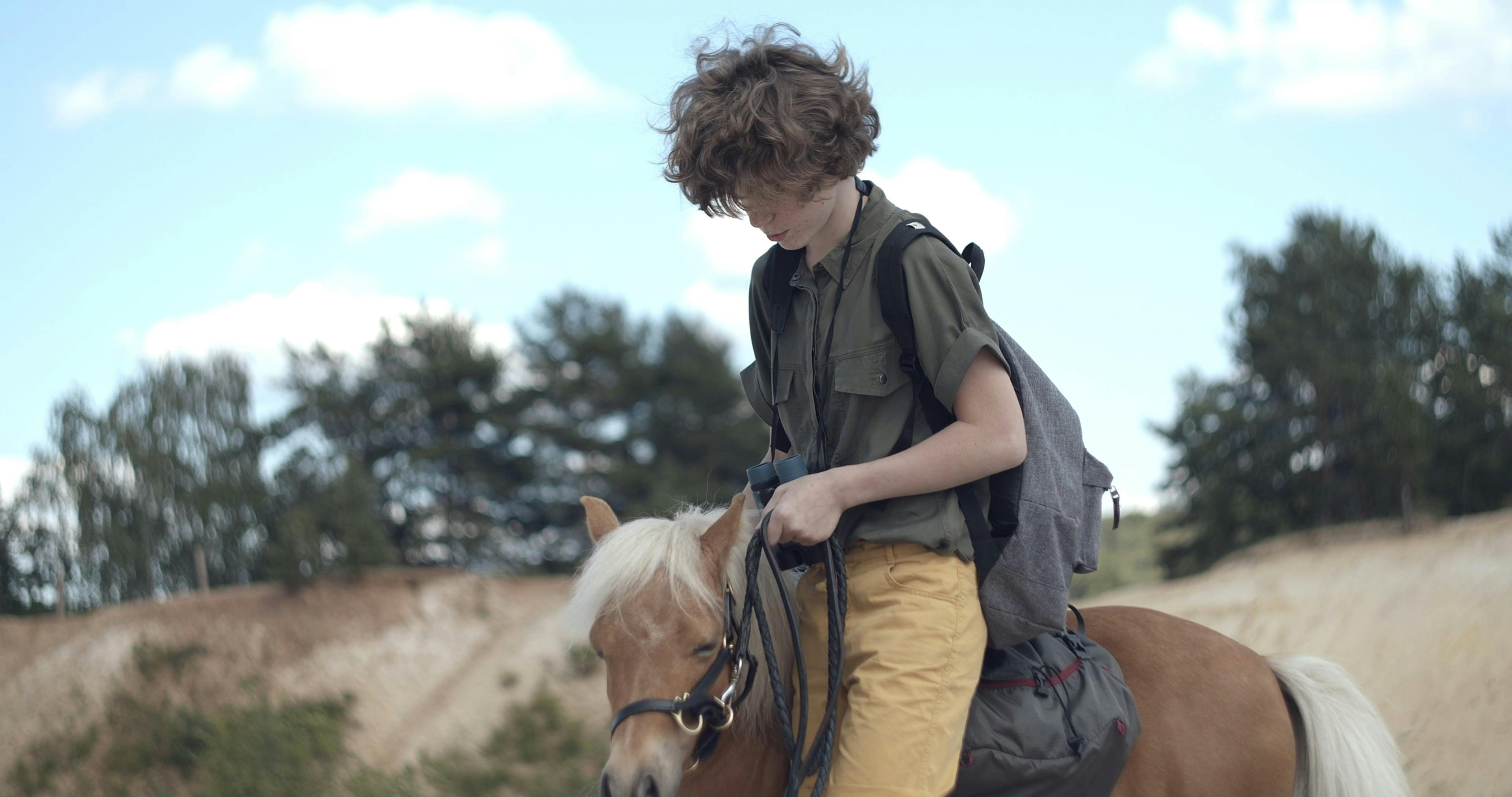 Boy And Horse Videos, Download The BEST Free 4k Stock Video Footage ...