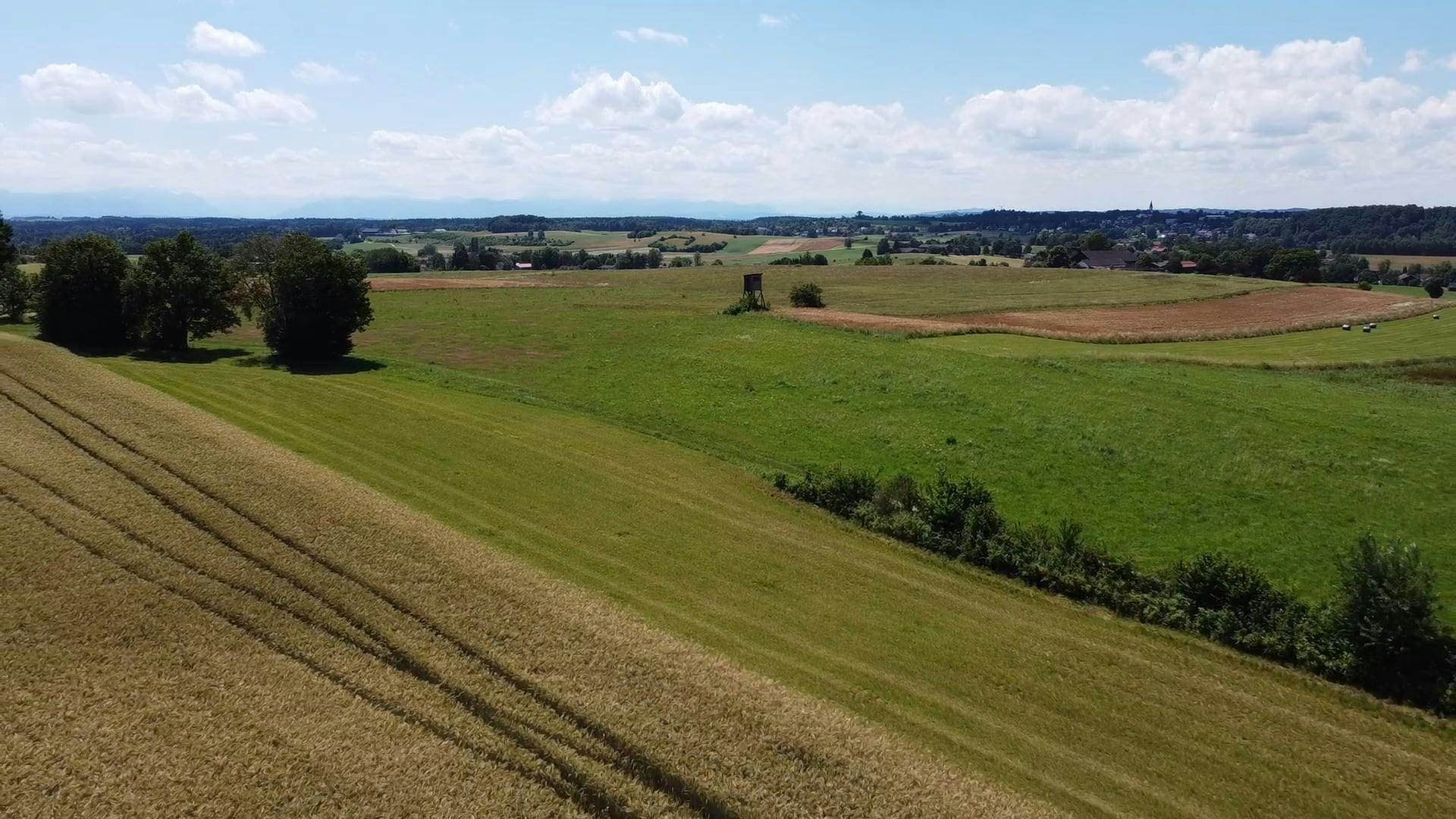 A Scenic View of a Cropland and Trees · Free Stock Video