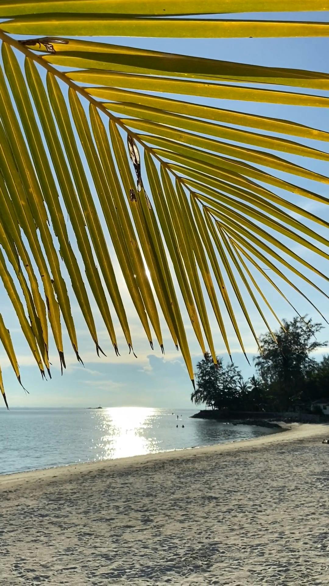 Sun over Beach in Morning Free Stock Video Footage, Royalty-Free 4K ...