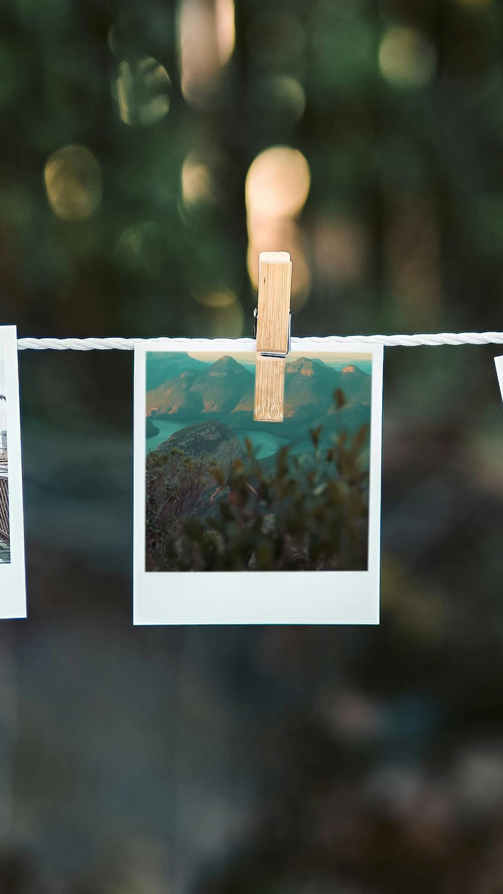 Polaroid Videos, Download The BEST Free 4k Stock Video Footage ...
