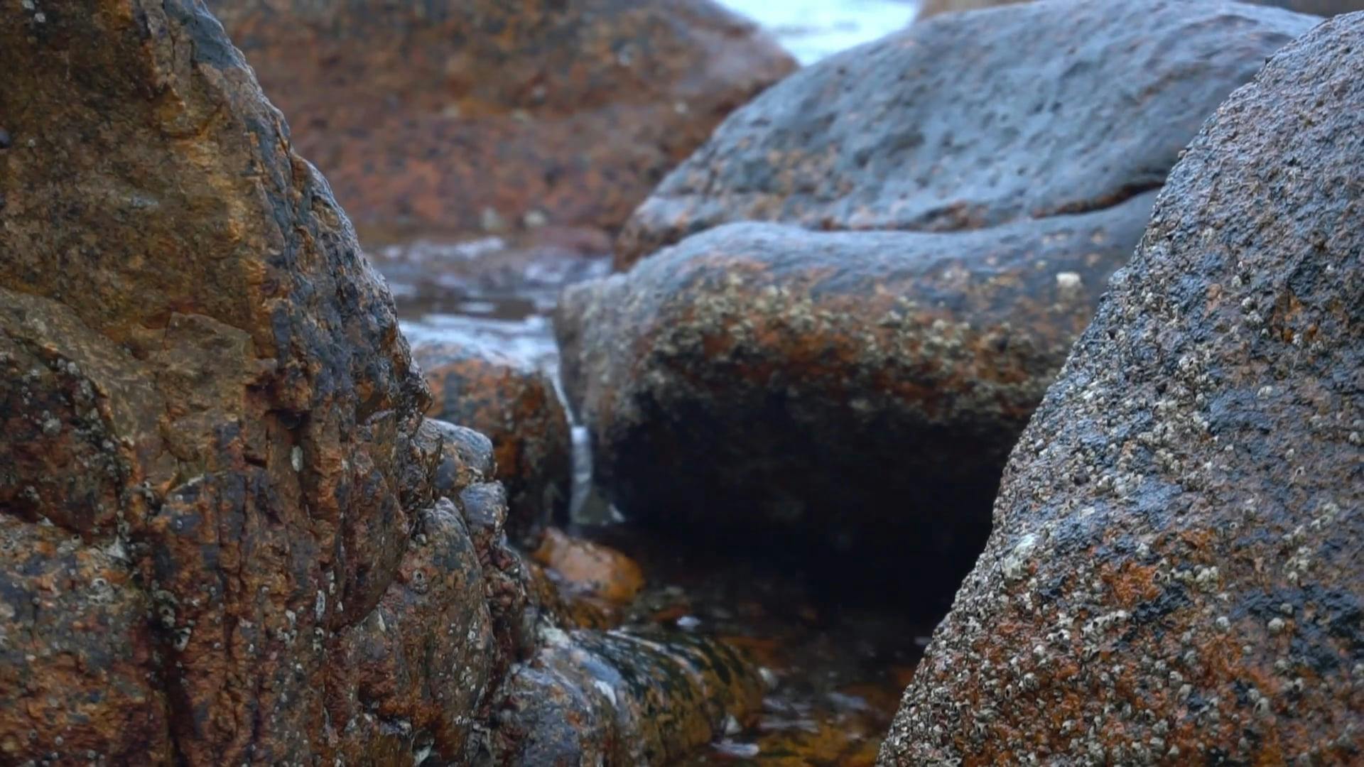 Close Up Video of Wet Rocks · Free Stock Video