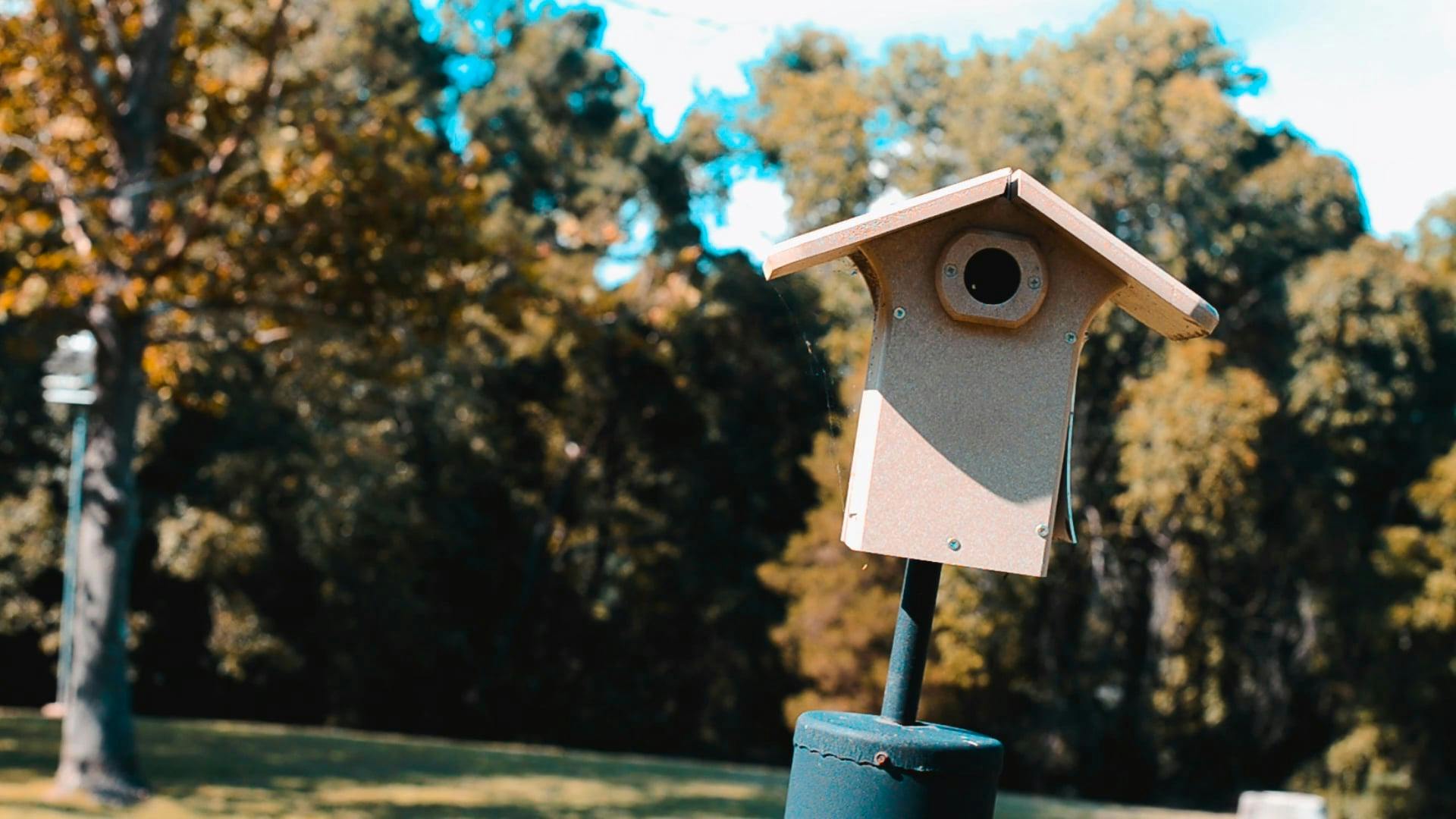 Wooden Birdhouse Videos, Download The BEST Free 4k Stock Video Footage ...