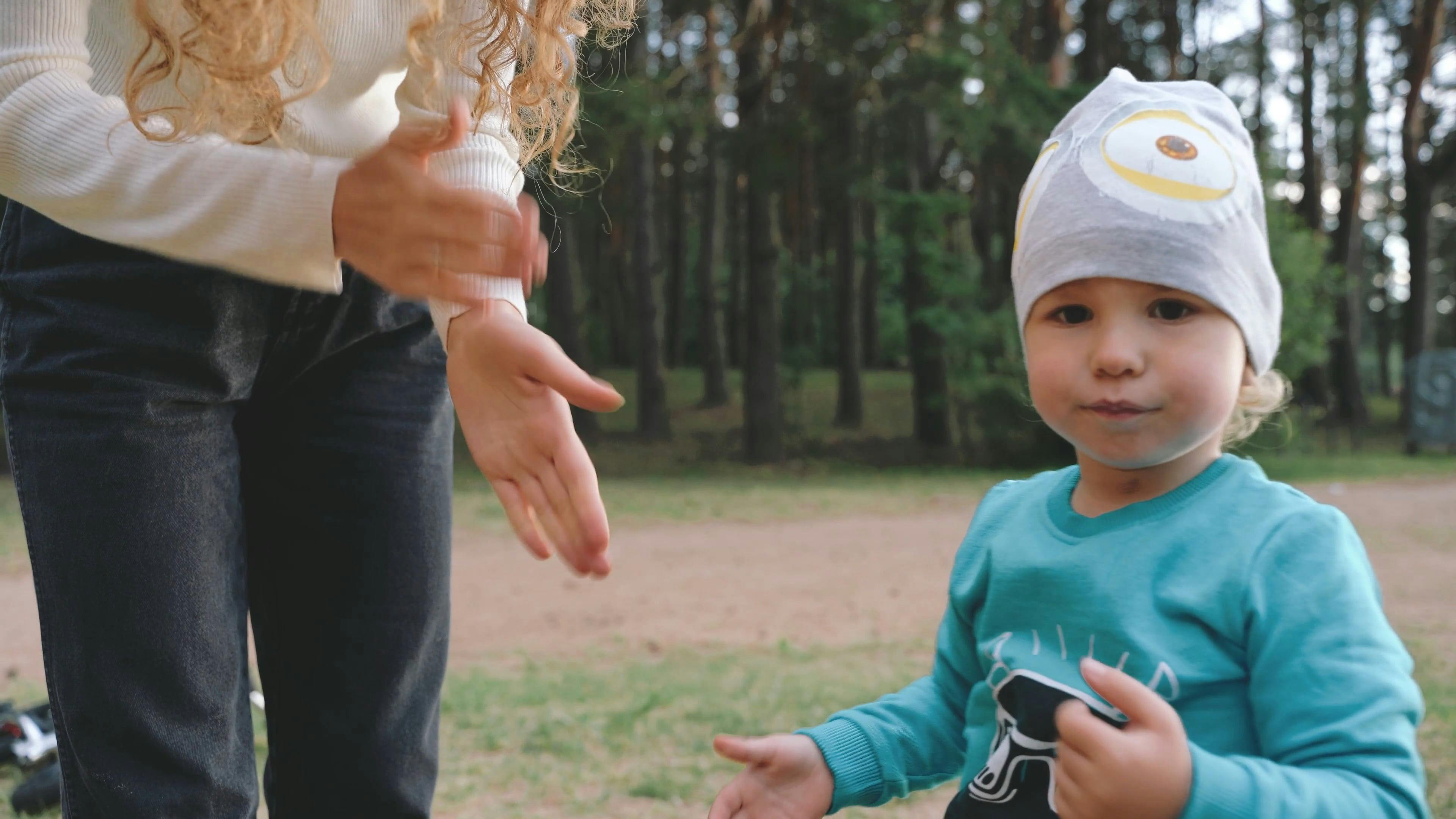 Tree Clapping Hands Videos, Download The BEST Free 4k Stock Video ...