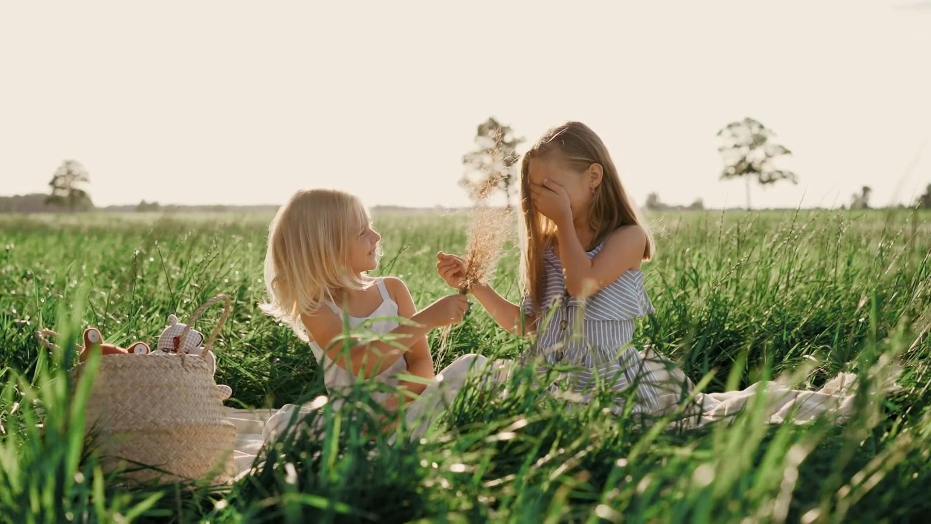 Girls having a Picnic Free Stock Video Footage, Royalty-Free 4K & HD ...