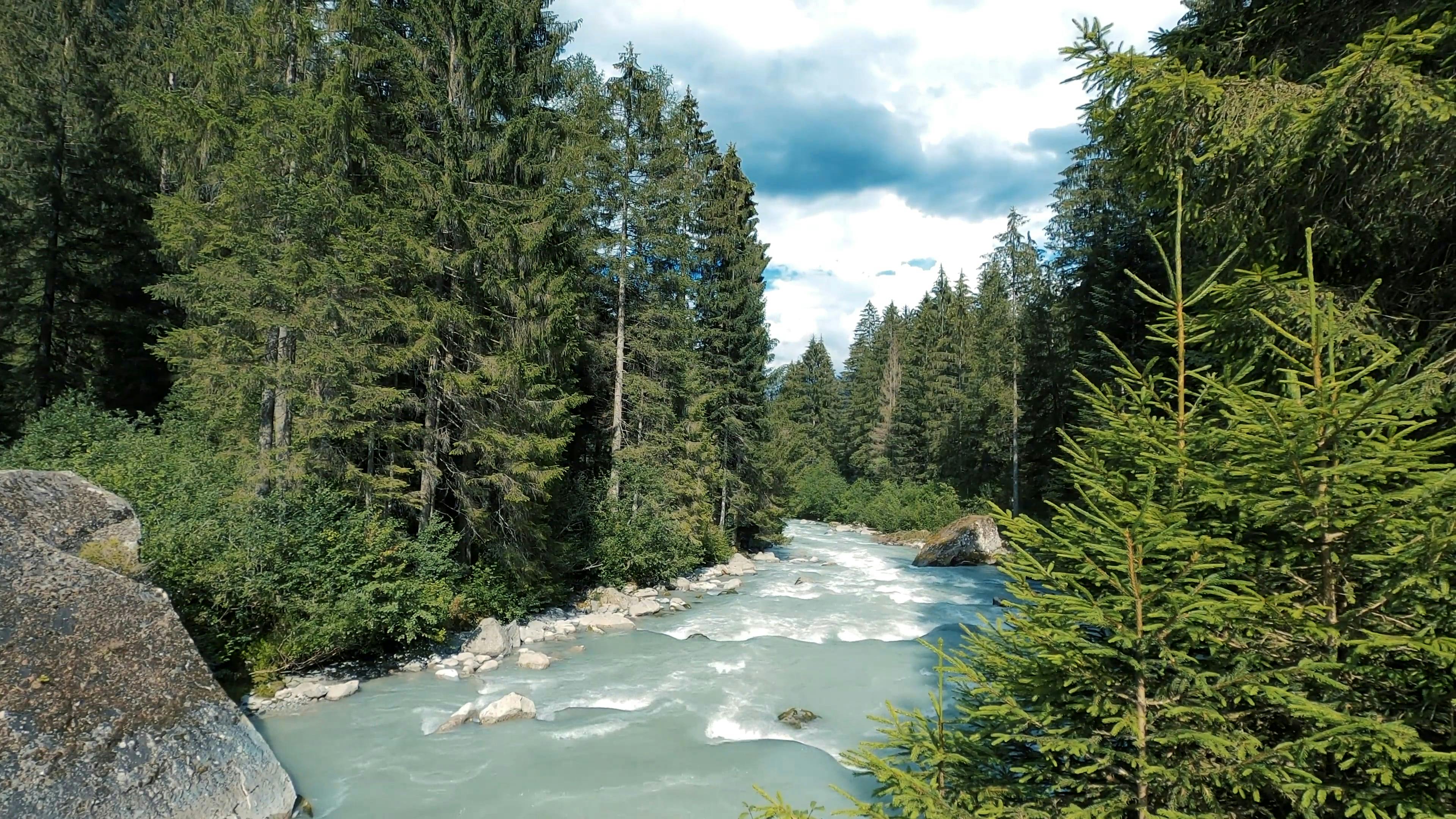 Flowing River Inside the Forest · Free Stock Video