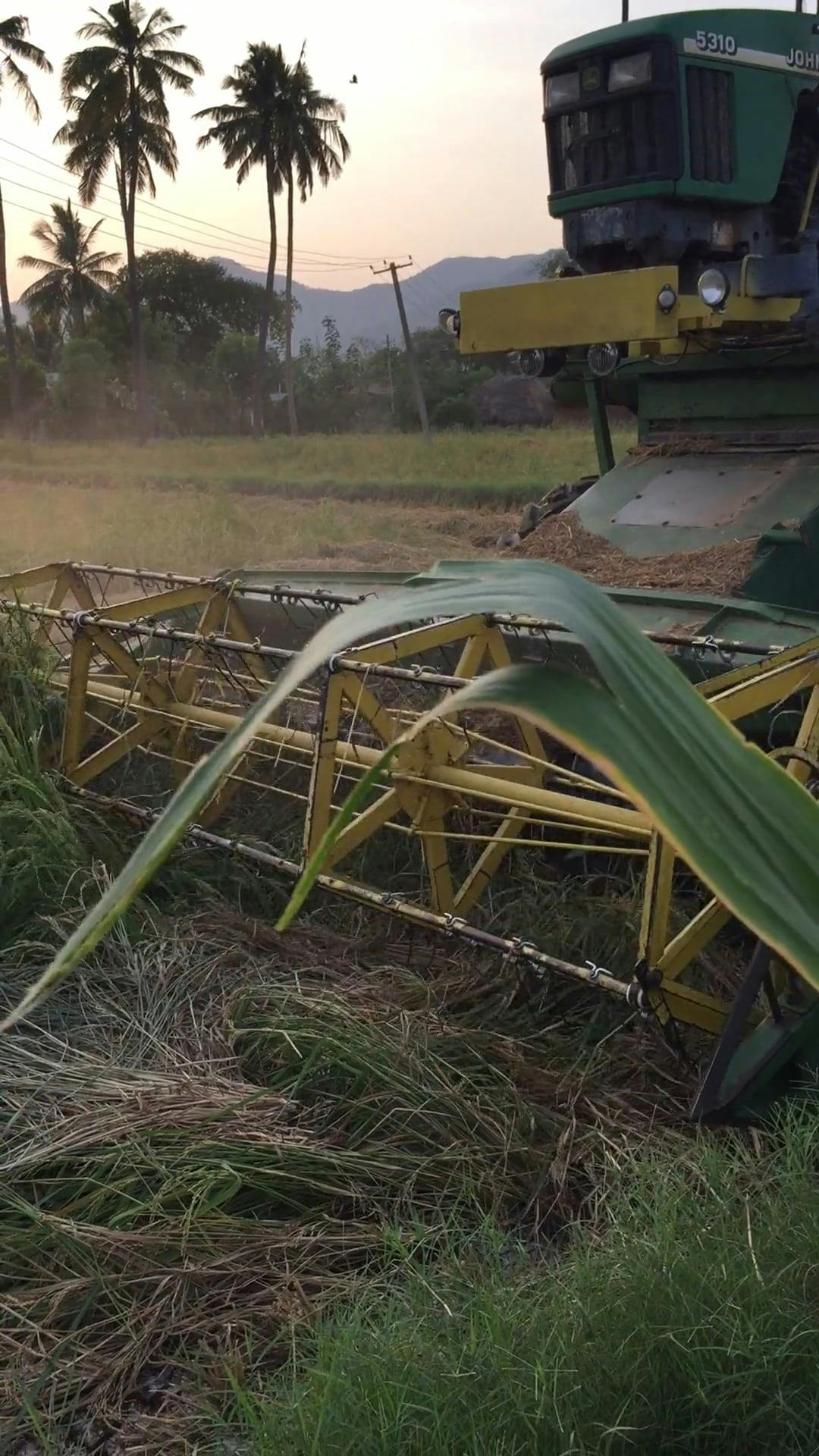 Paddy Machine Videos, Download The BEST Free 4k Stock Video Footage ...