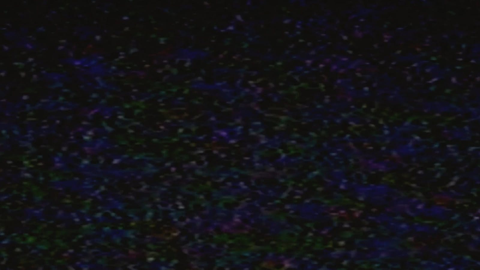 Slog Footage Videos, Download The BEST Free 4k Stock Video Footage ...