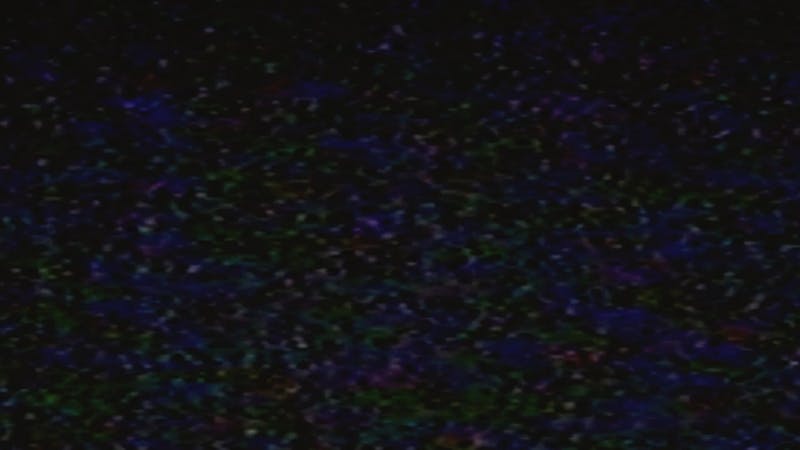 Looping Background Videos, Download The BEST Free 4k Stock Video ...