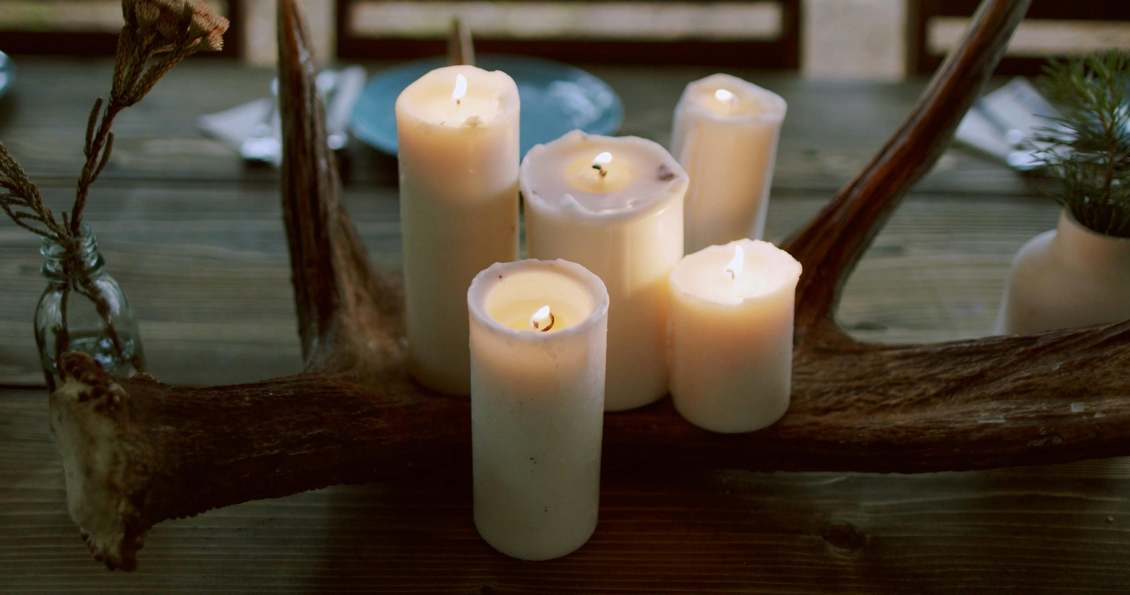 Antler Texture Videos, Download The BEST Free 4k Stock Video Footage ...