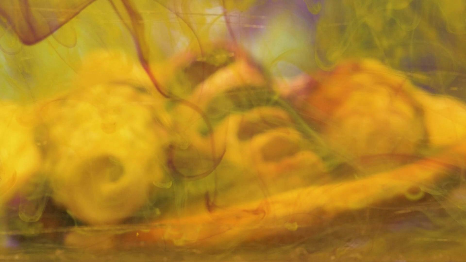 Blended Colors For Background Videos, Download The BEST Free 4k Stock ...