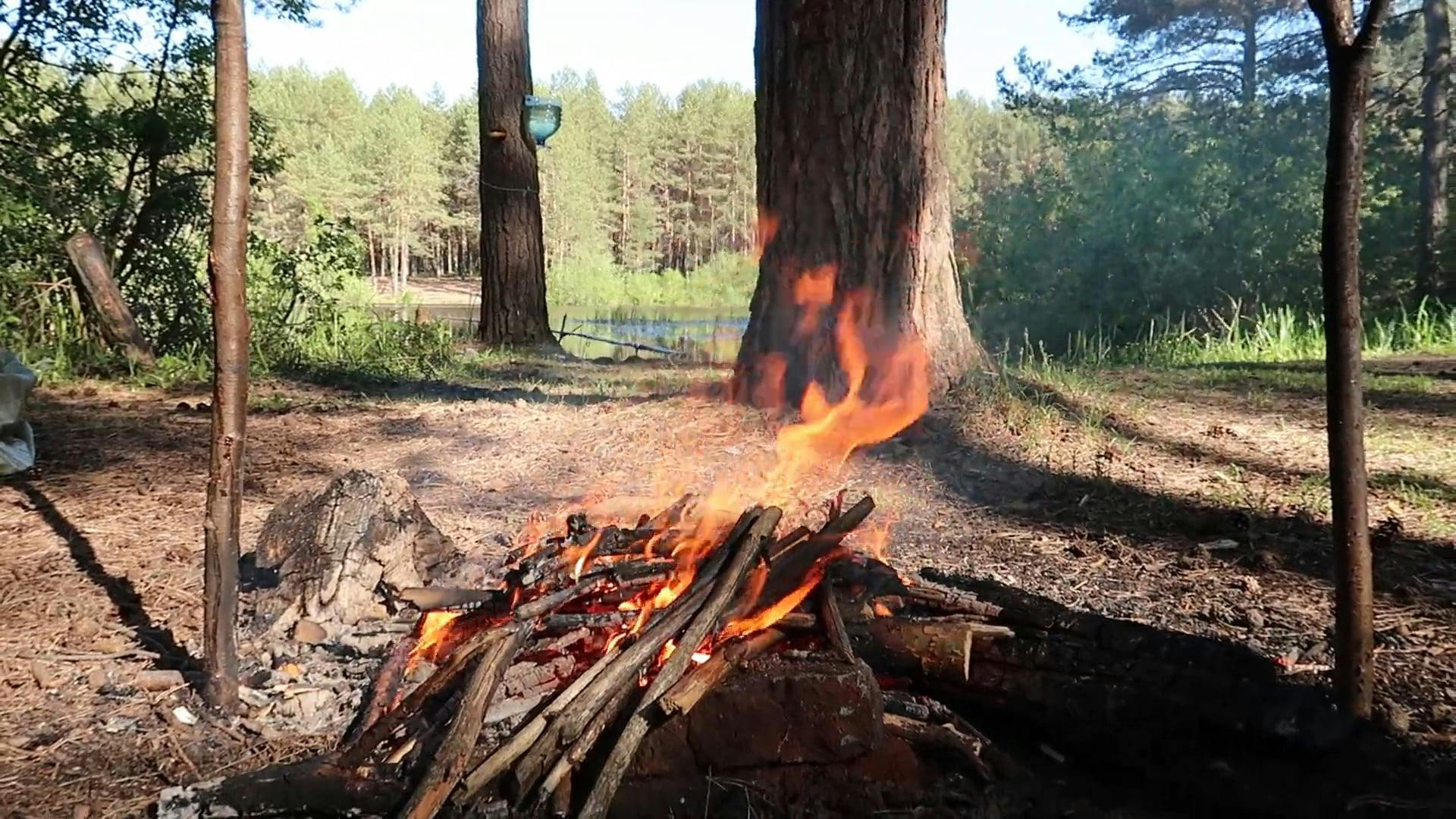 Glowing Firelight Videos, Download The BEST Free 4k Stock Video Footage ...