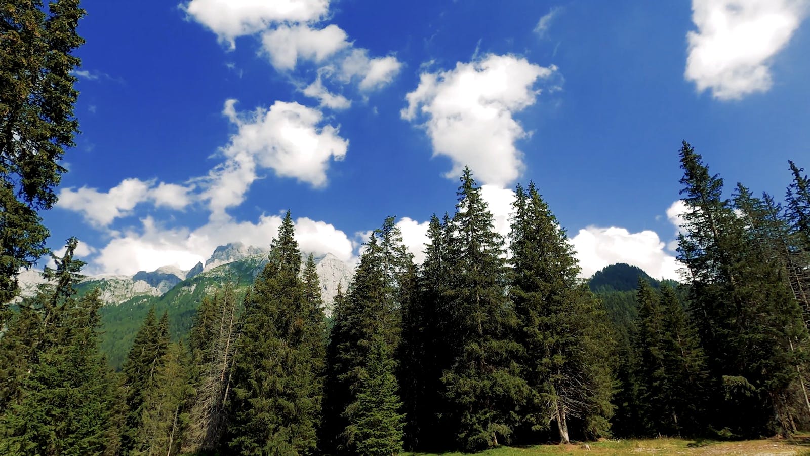 Bavorské Alpy Videos, Download The BEST Free 4k Stock Video Footage ...