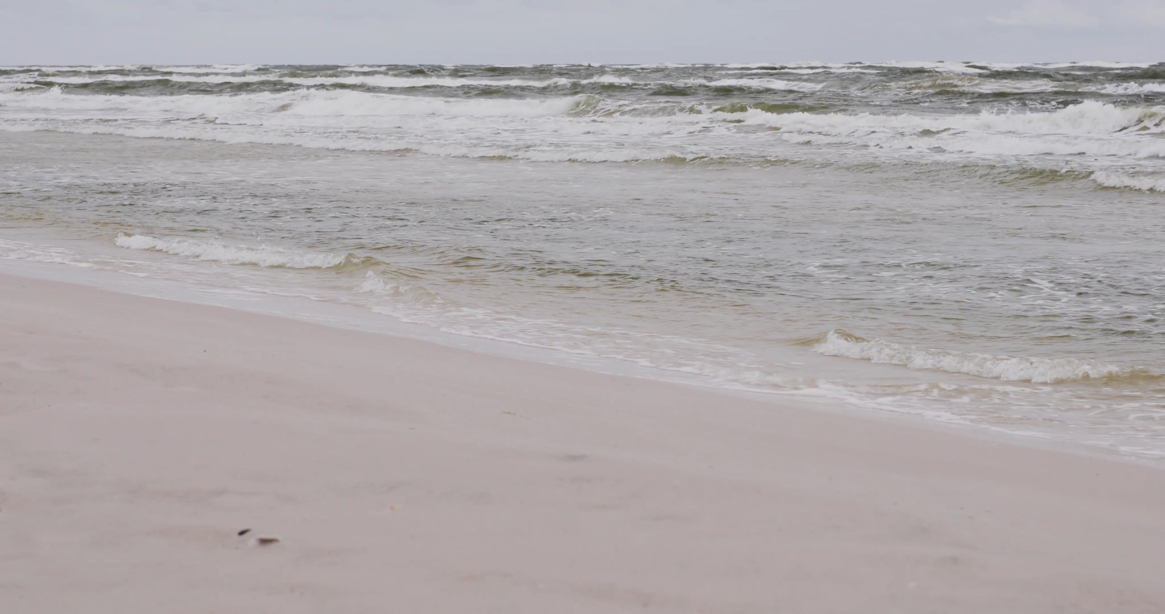 Sea Shells On Shore Free Stock Video Footage, Royalty-Free 4K & HD ...