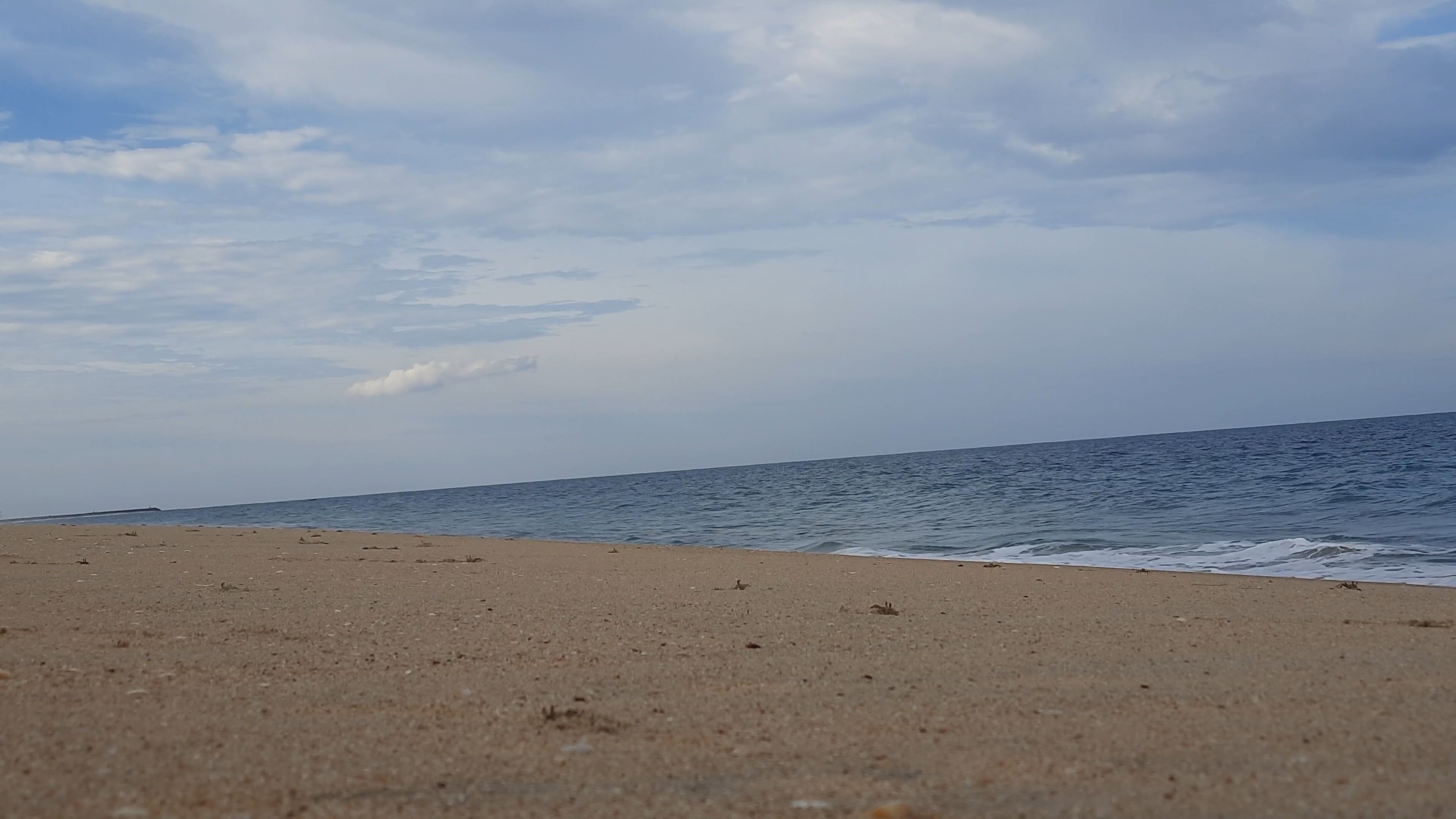 Ocean Breeze · Free Stock Video