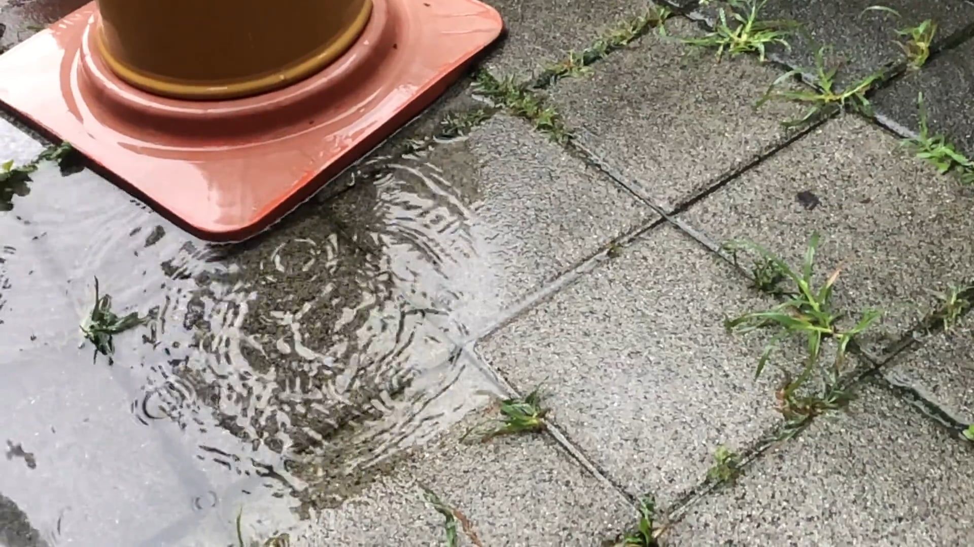 Rain Pouring Down Free Stock Video Footage, Royalty-Free 4K & HD Video Clip