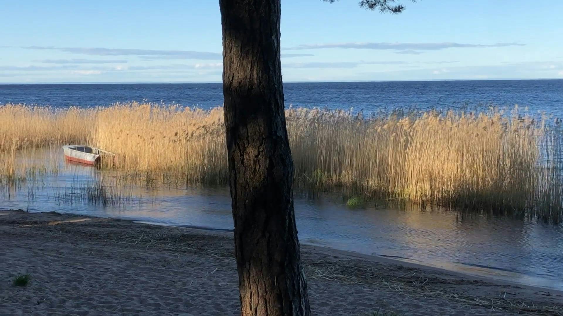 Elena Stepanova - Photography