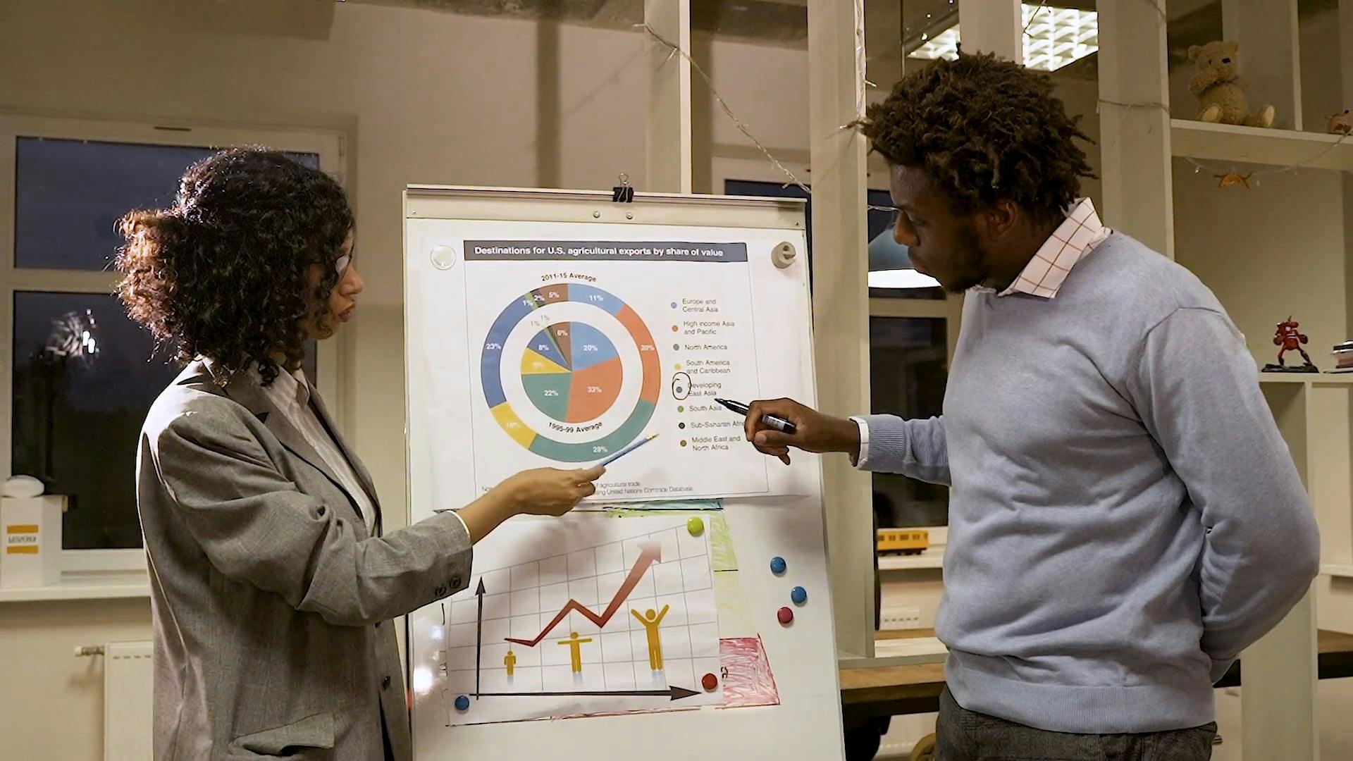 Woman Presenting and Explaining a Chart Free Stock Video Footage ...