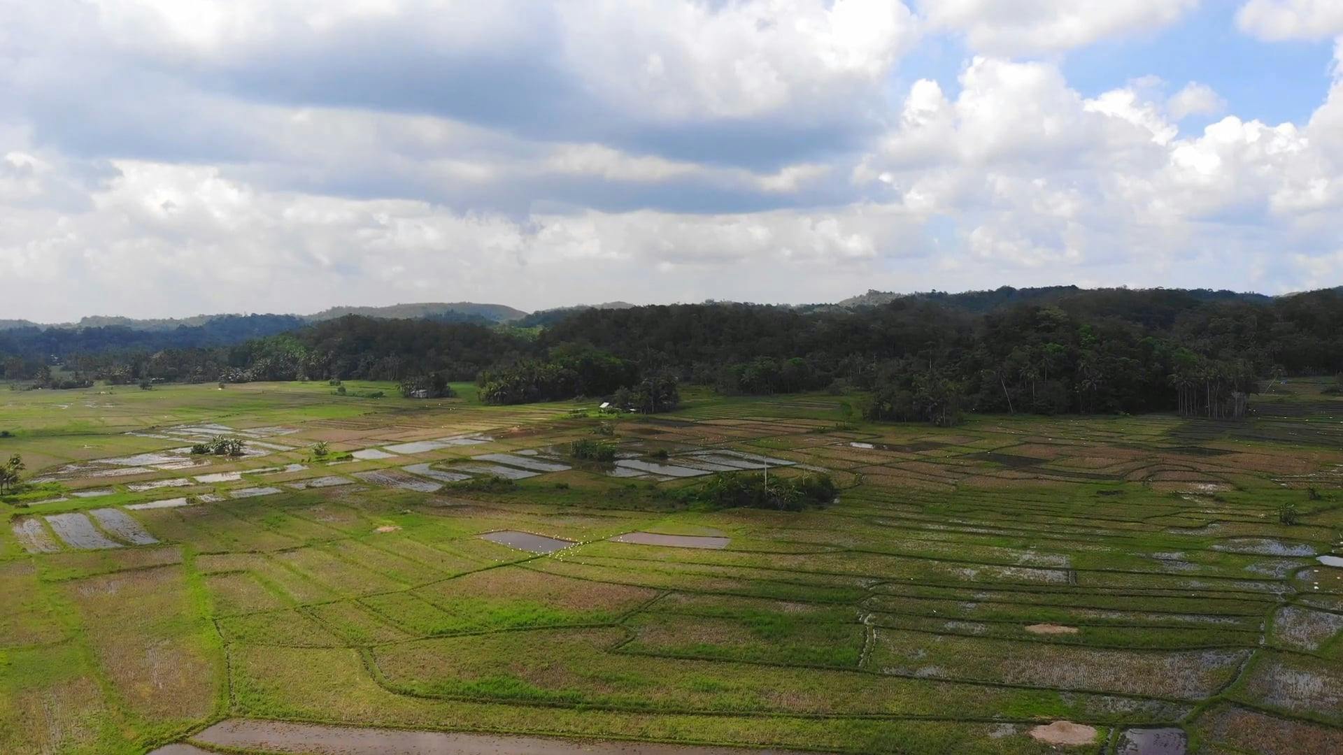 Green Land Videos, Download The BEST Free 4k Stock Video Footage ...