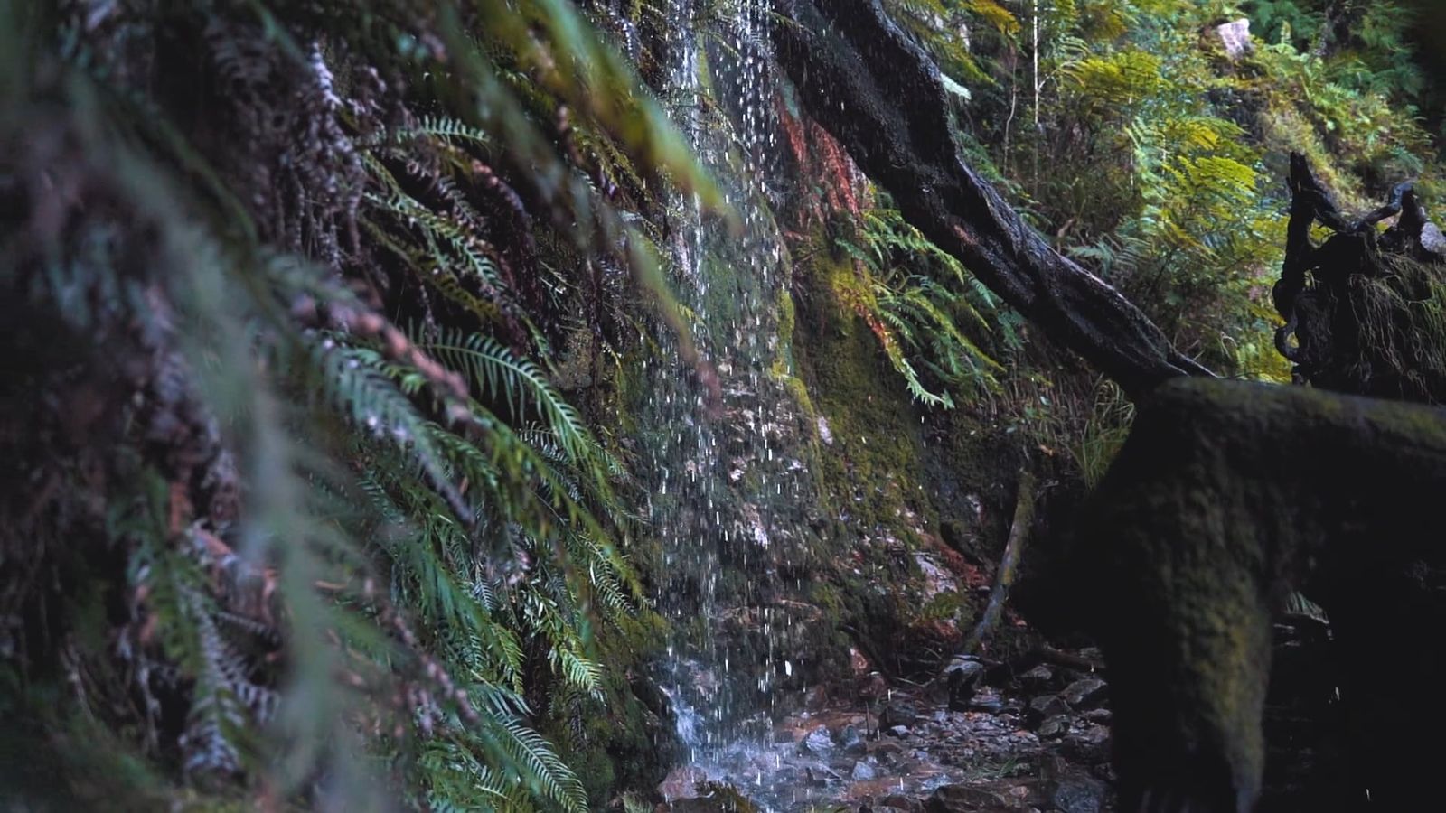 Dripping Videos, Download The BEST Free 4k Stock Video Footage ...