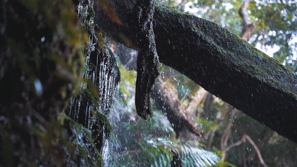Water Dripping Videos, Download The BEST Free 4k Stock Video Footage ...