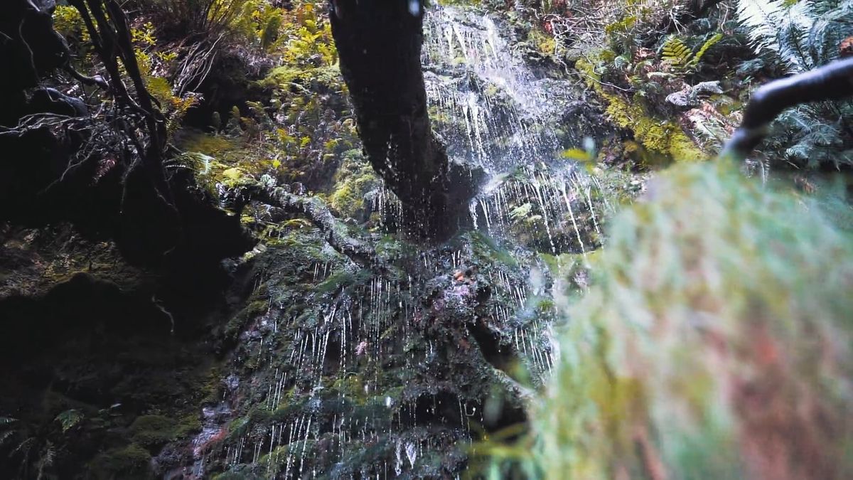 Beautiful Nature Videos, Download The BEST Free 4k Stock Video Footage ...