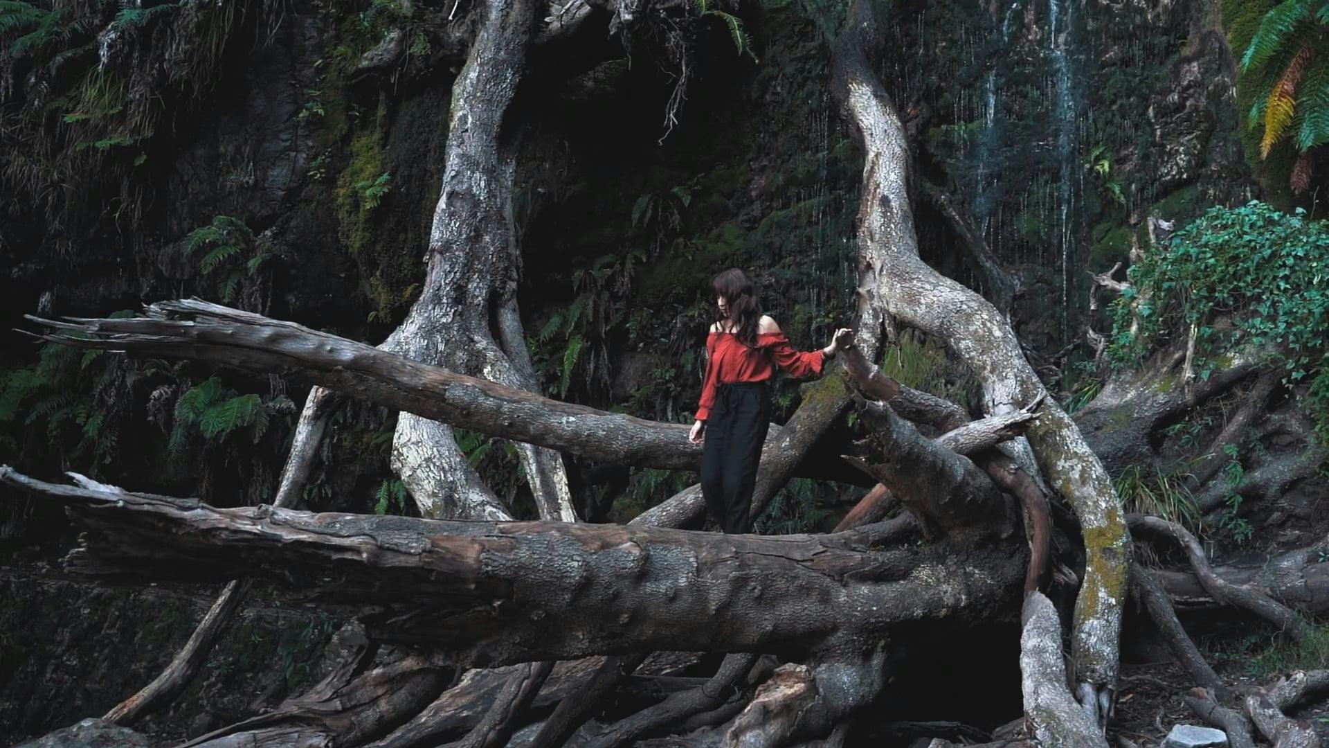 A Woman Walking on a Tree Log Free Stock Video Footage, Royalty-Free 4K ...