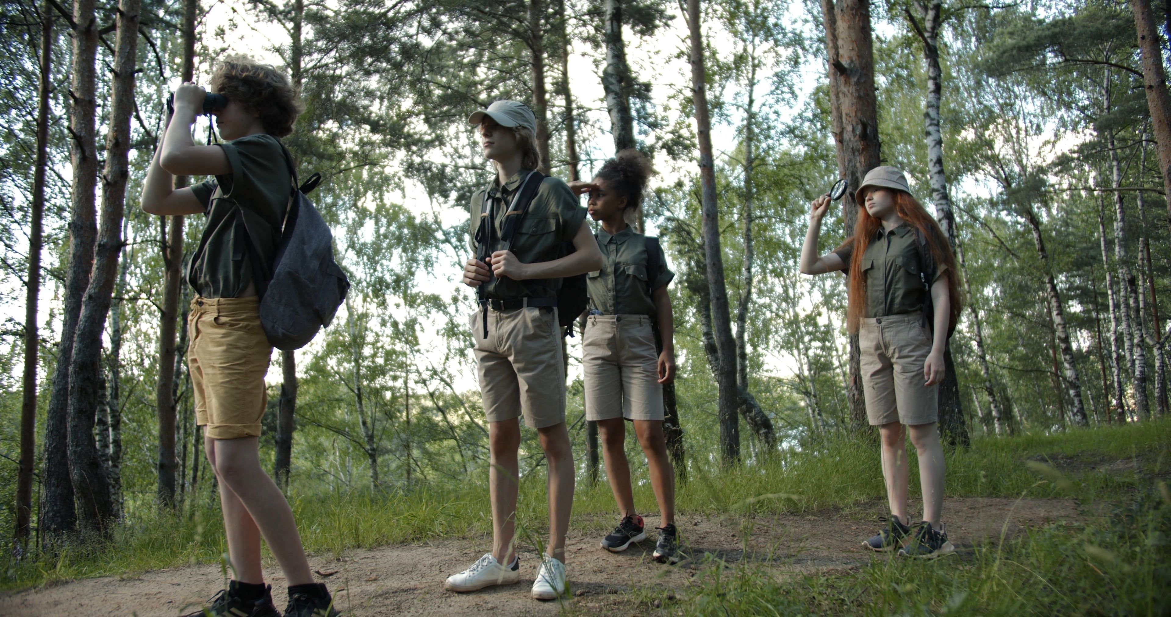Scouts Looking Around the Woods · Free Stock Video