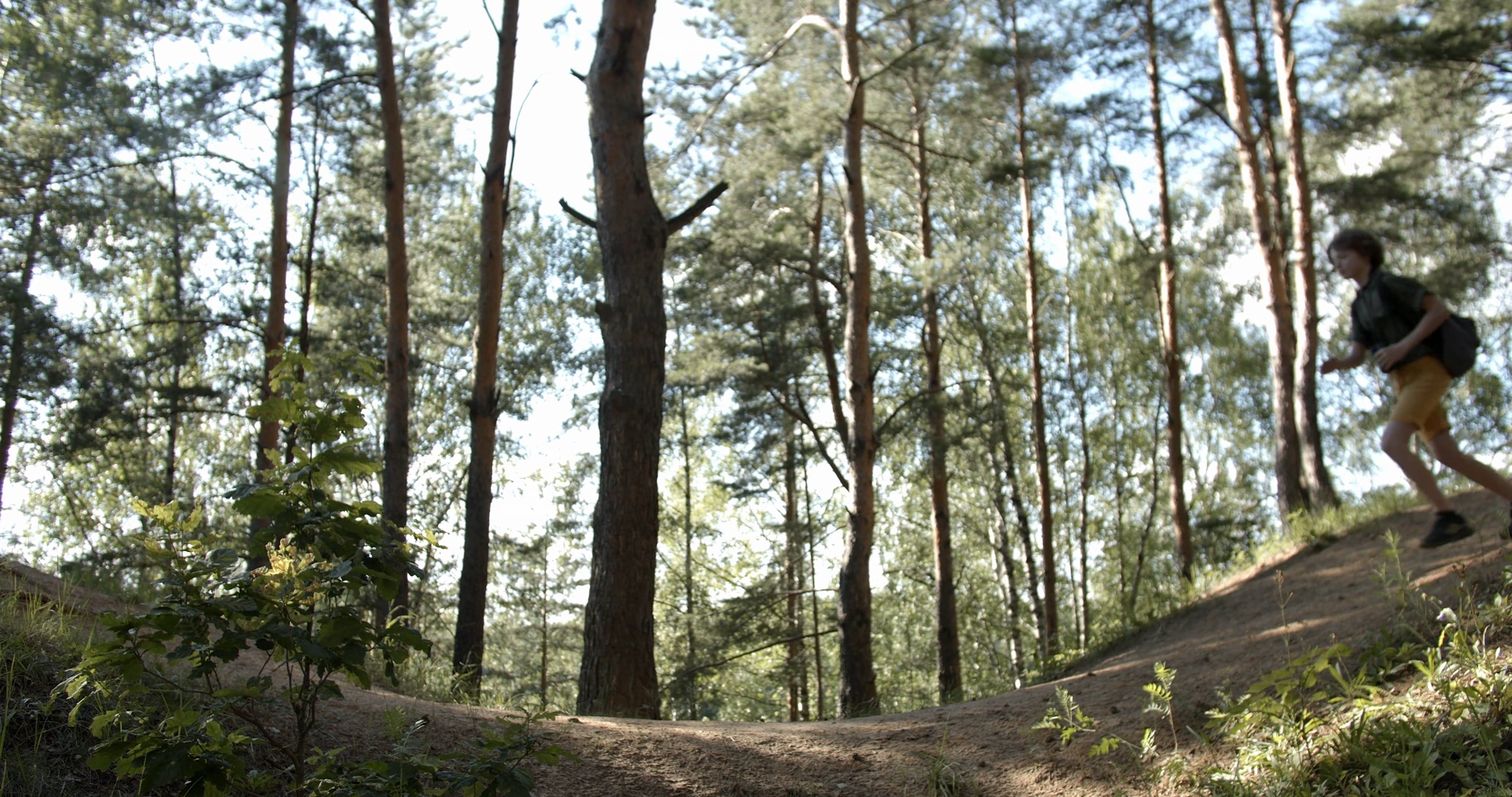 Group of Teenagers Running in the Woods Free Stock Video Footage ...