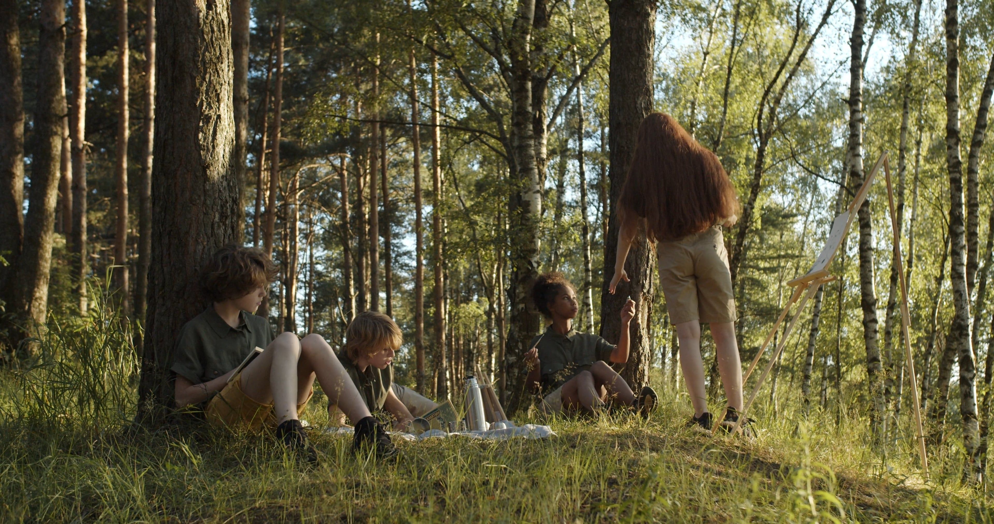 Friends Hanging Out in the Woods · Free Stock Video