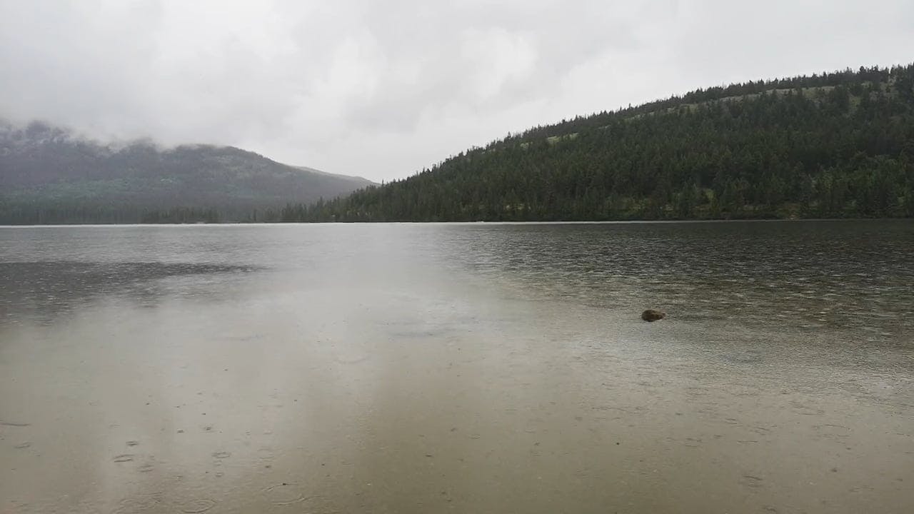 Vinnie Smith - 写真