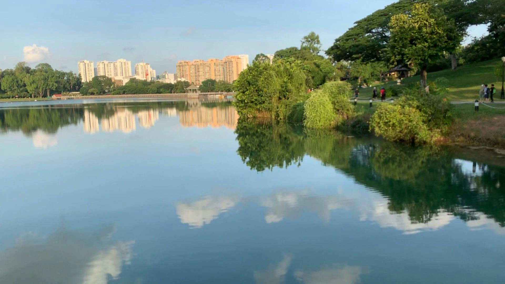 Distorted Reflections Of A Lake Surrounding On Its Water Surface · Free ...