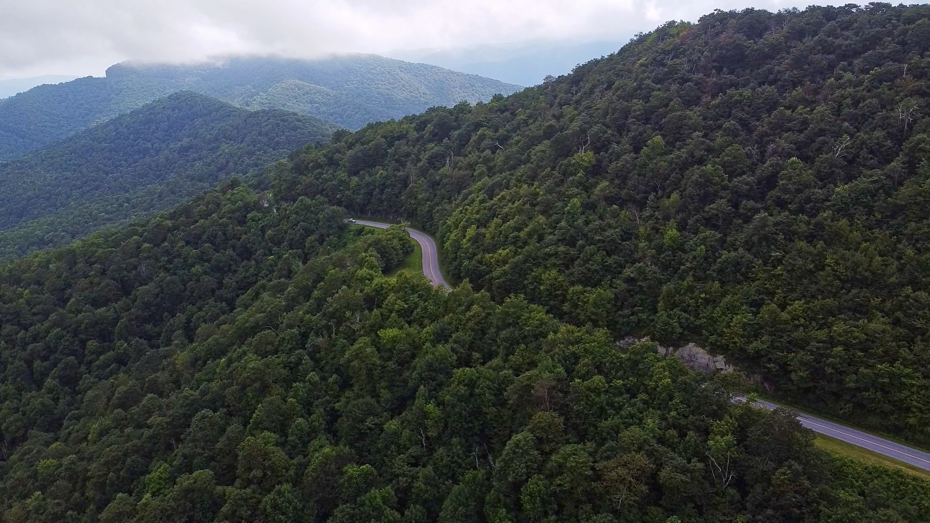Drone Shot Of Forest · Free Stock Video