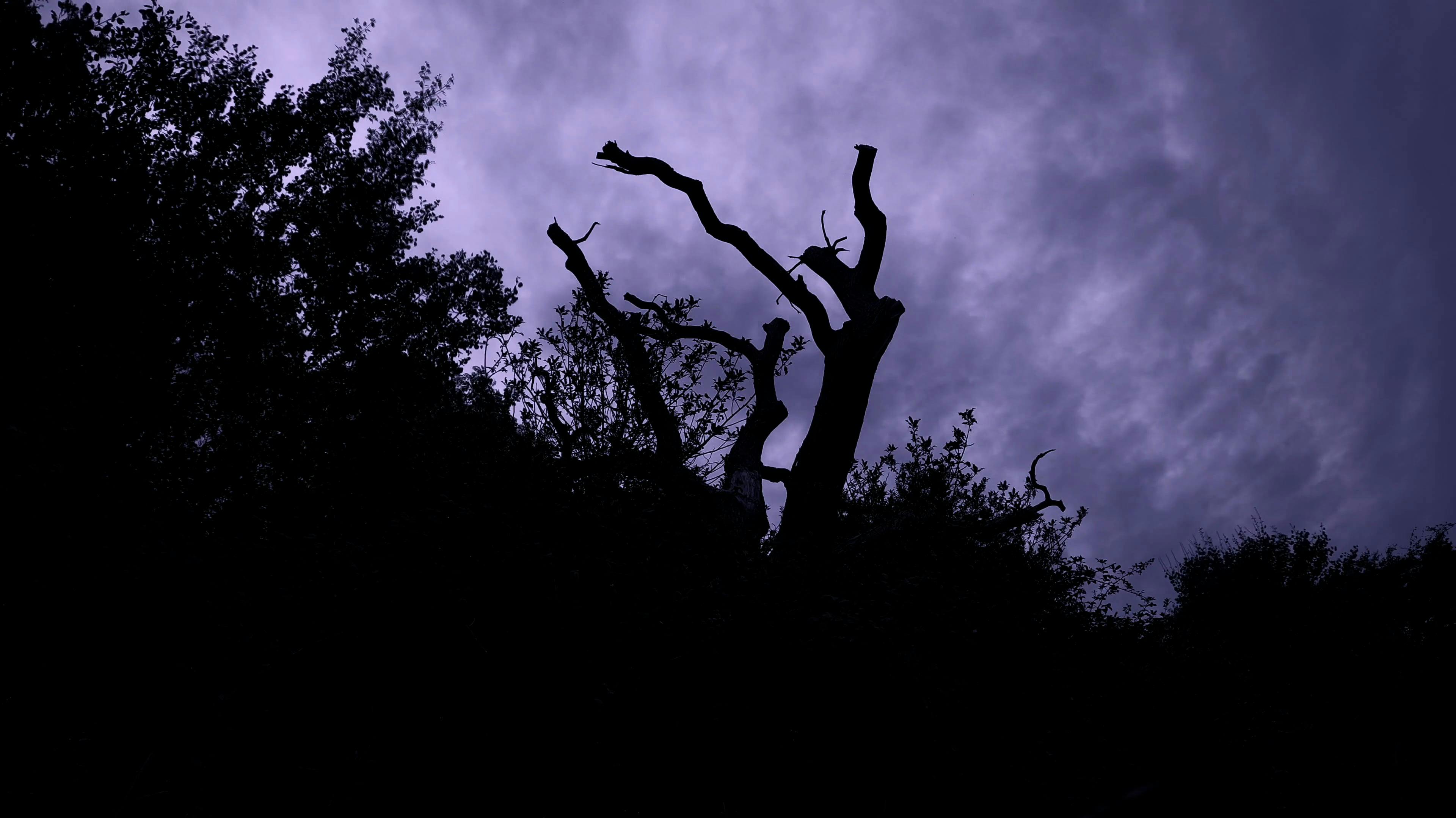 Looping Night Sky Videos, Download The BEST Free 4k Stock Video Footage ...