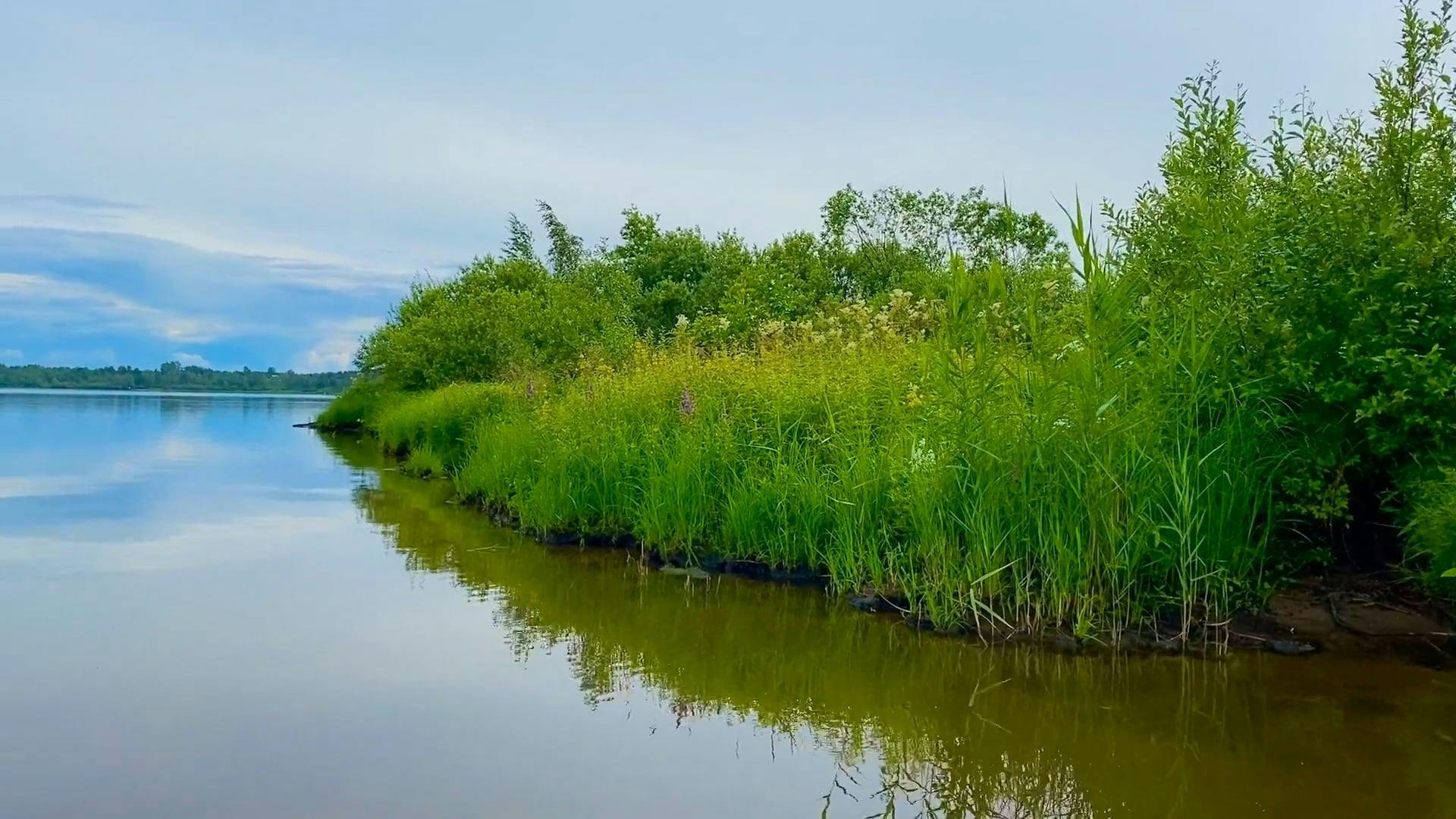 A Placid Lake · Free Stock Video