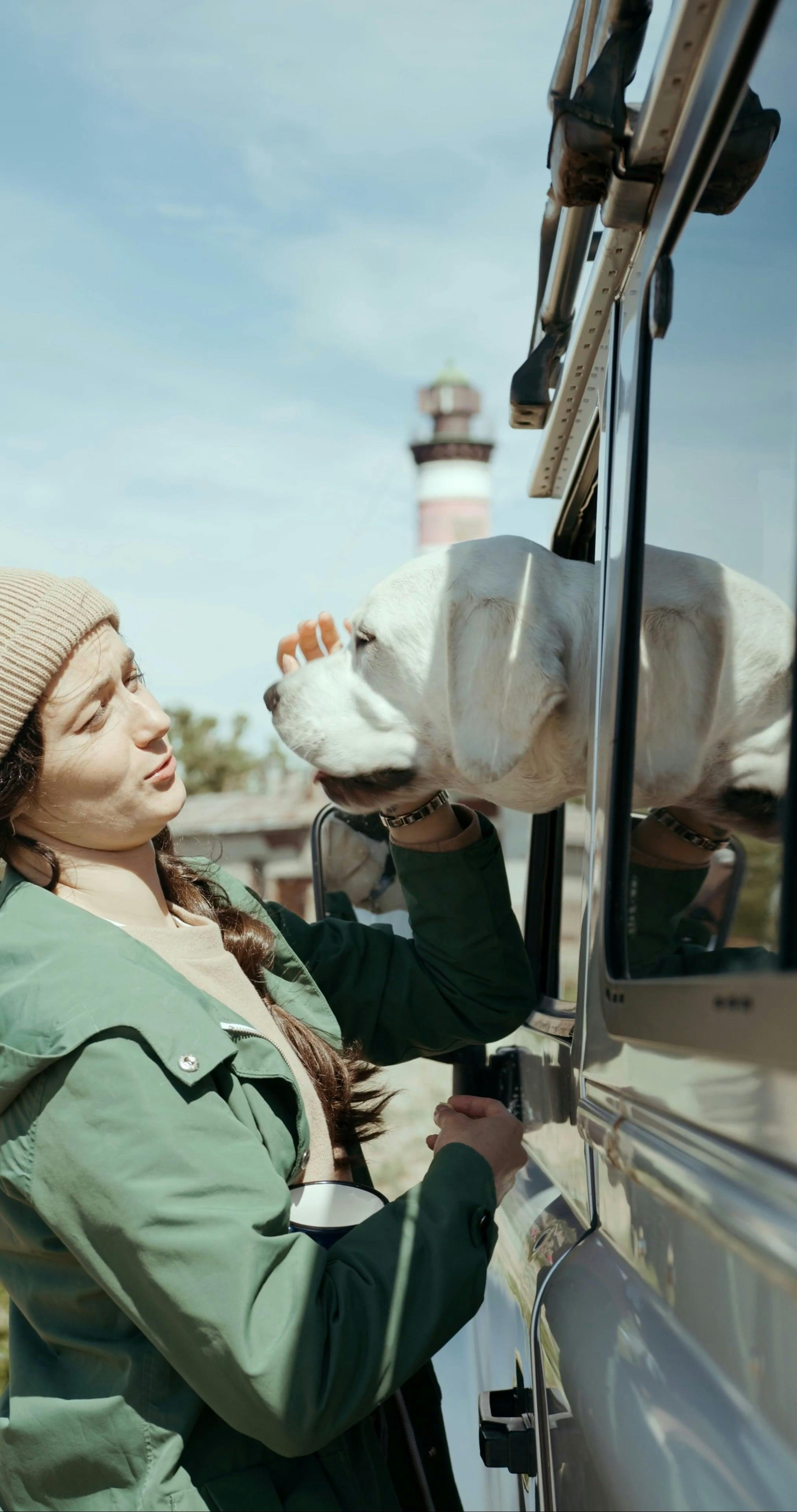 Muzzle Car Videos, Download The BEST Free 4k Stock Video Footage ...