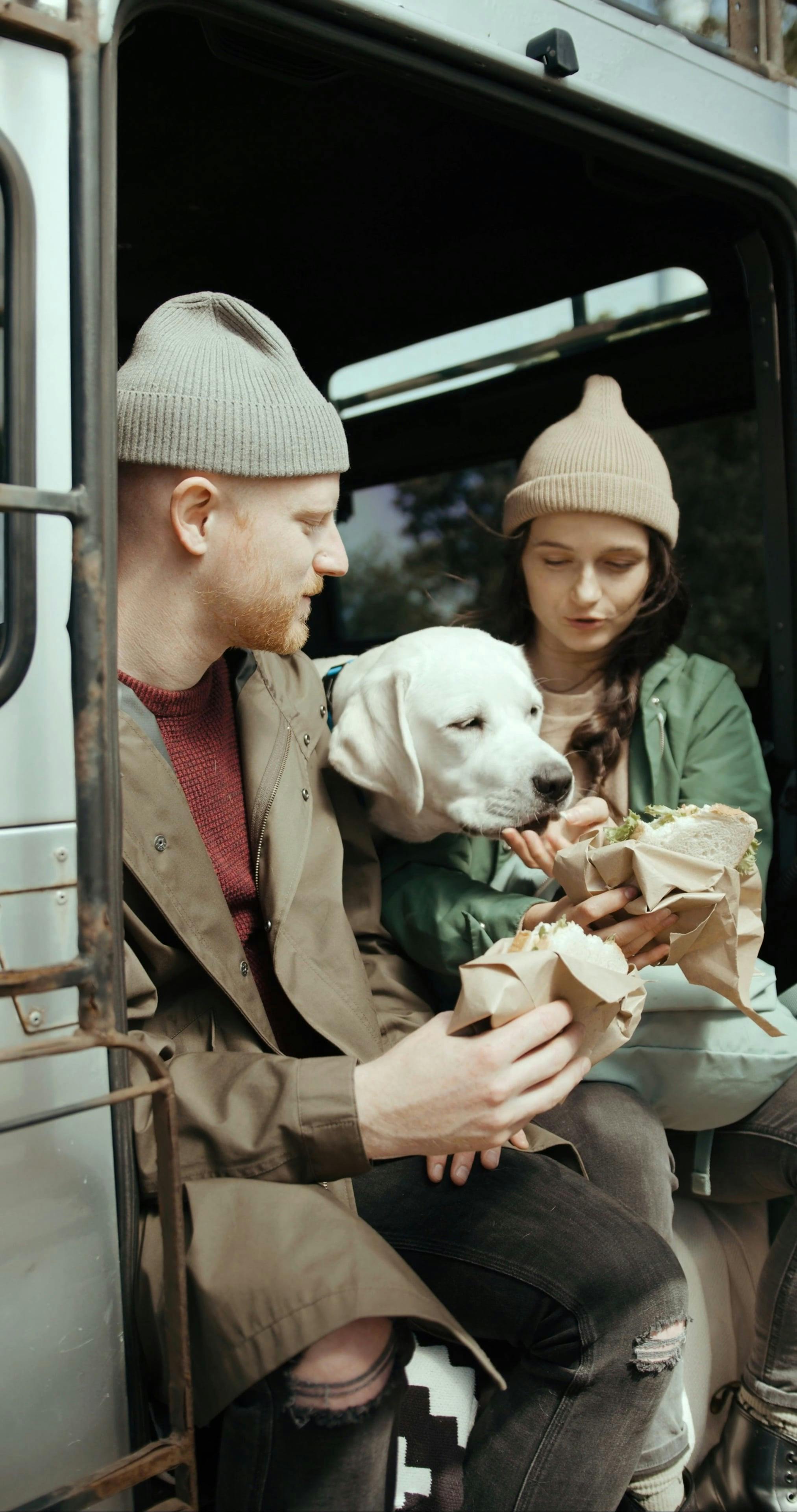 Car Bite Videos, Download The BEST Free 4k Stock Video Footage & Car ...