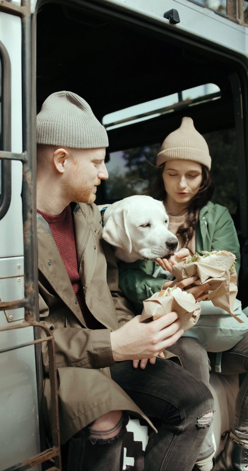 Animated Car Videos, Download The BEST Free 4k Stock Video Footage ...