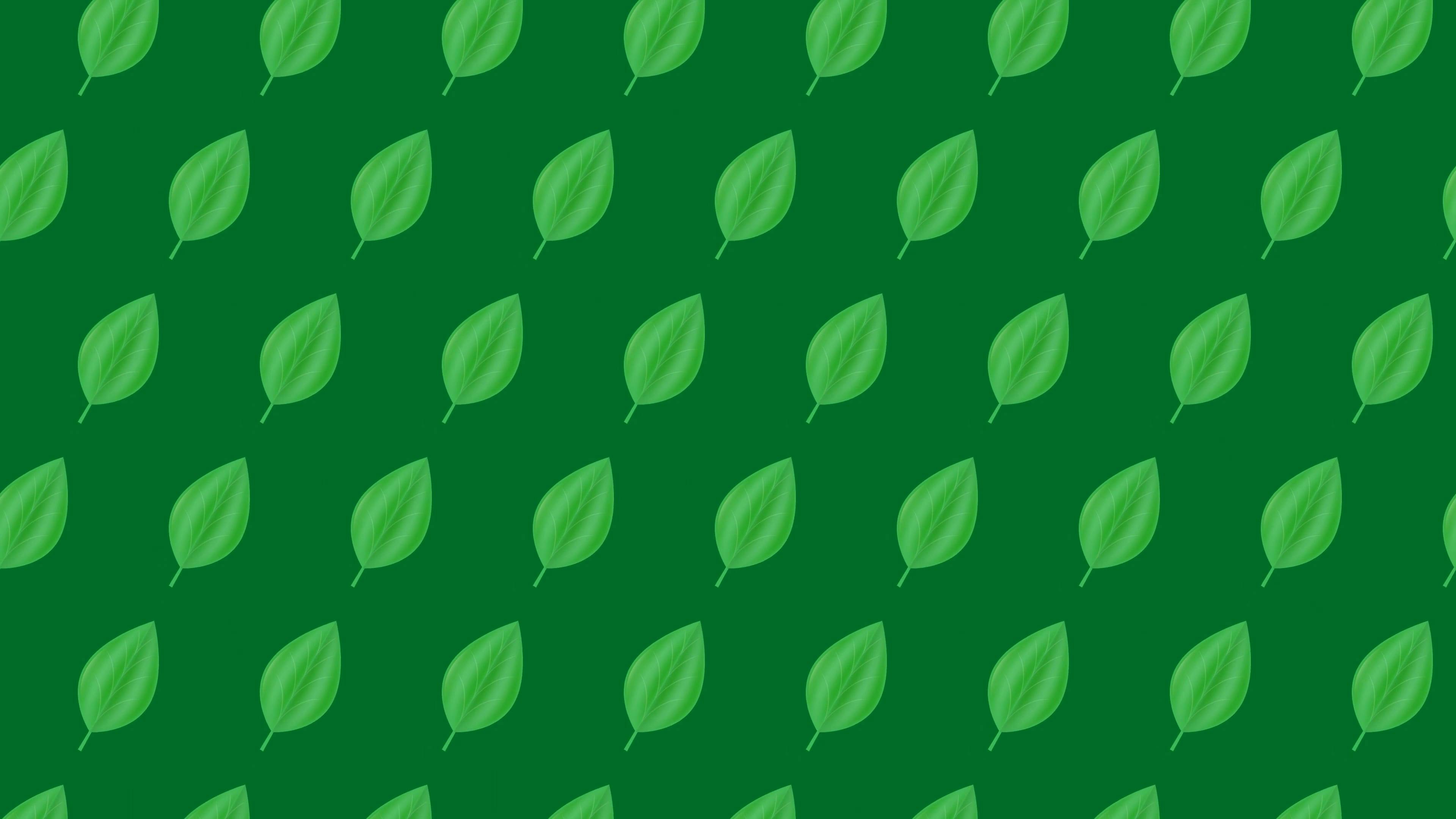 Leaf Wallpaper Videos, Download The BEST Free 4k Stock Video Footage ...