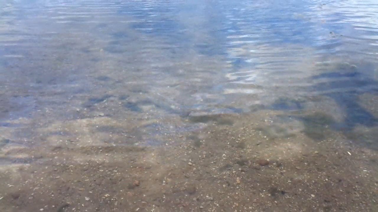 Translucent Water Videos, Download The BEST Free 4k Stock Video Footage ...