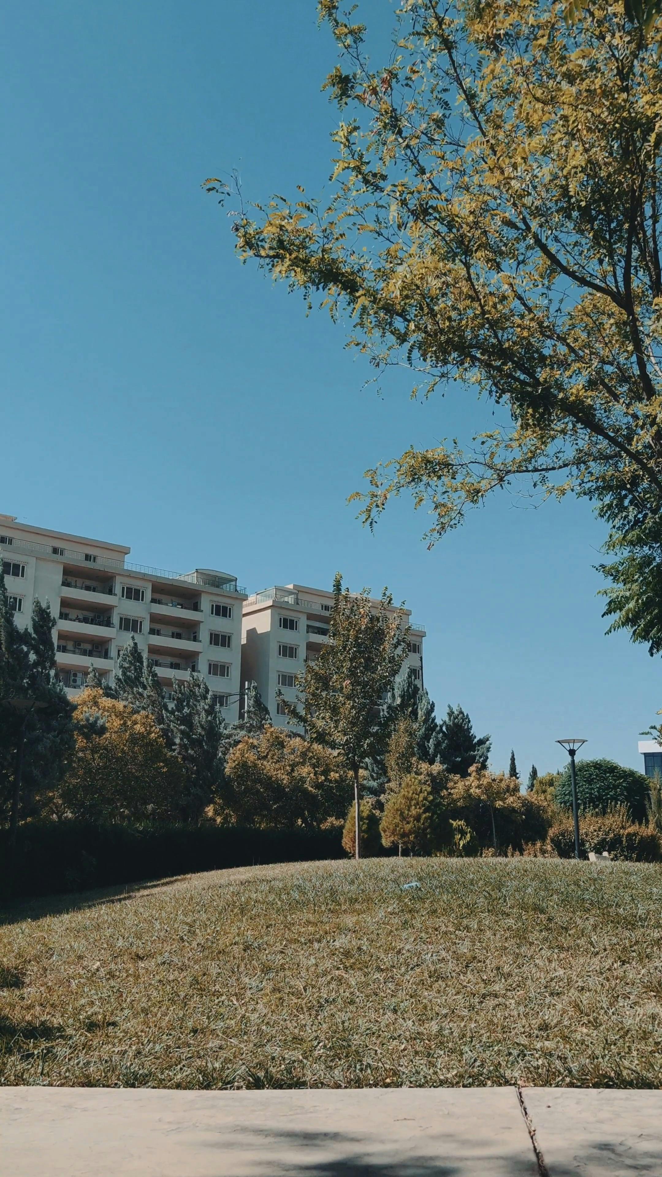 Front Yard Landscaping Videos, Download The BEST Free 4k Stock Video ...