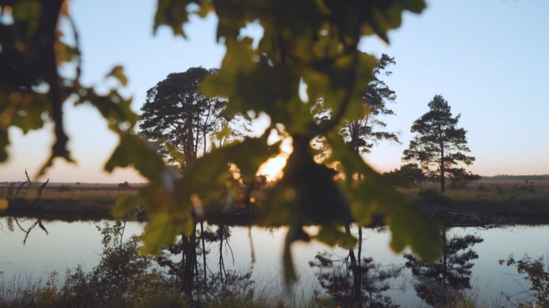 Beautiful Scenery of Golden Hour Free Stock Video Footage, Royalty-Free ...
