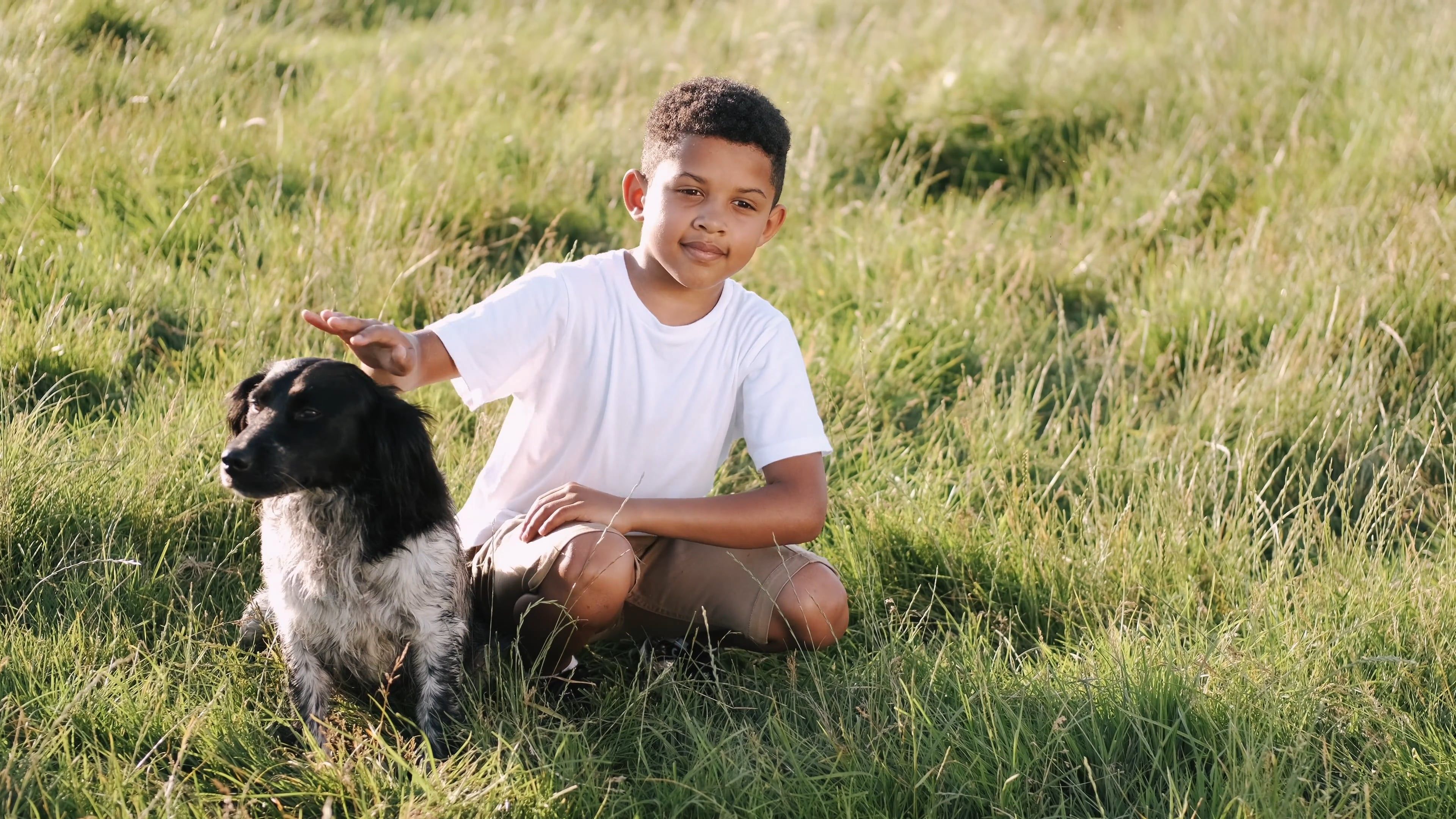 Boy with Pet Dog Free Stock Video Footage, Royalty-Free 4K & HD Video Clip