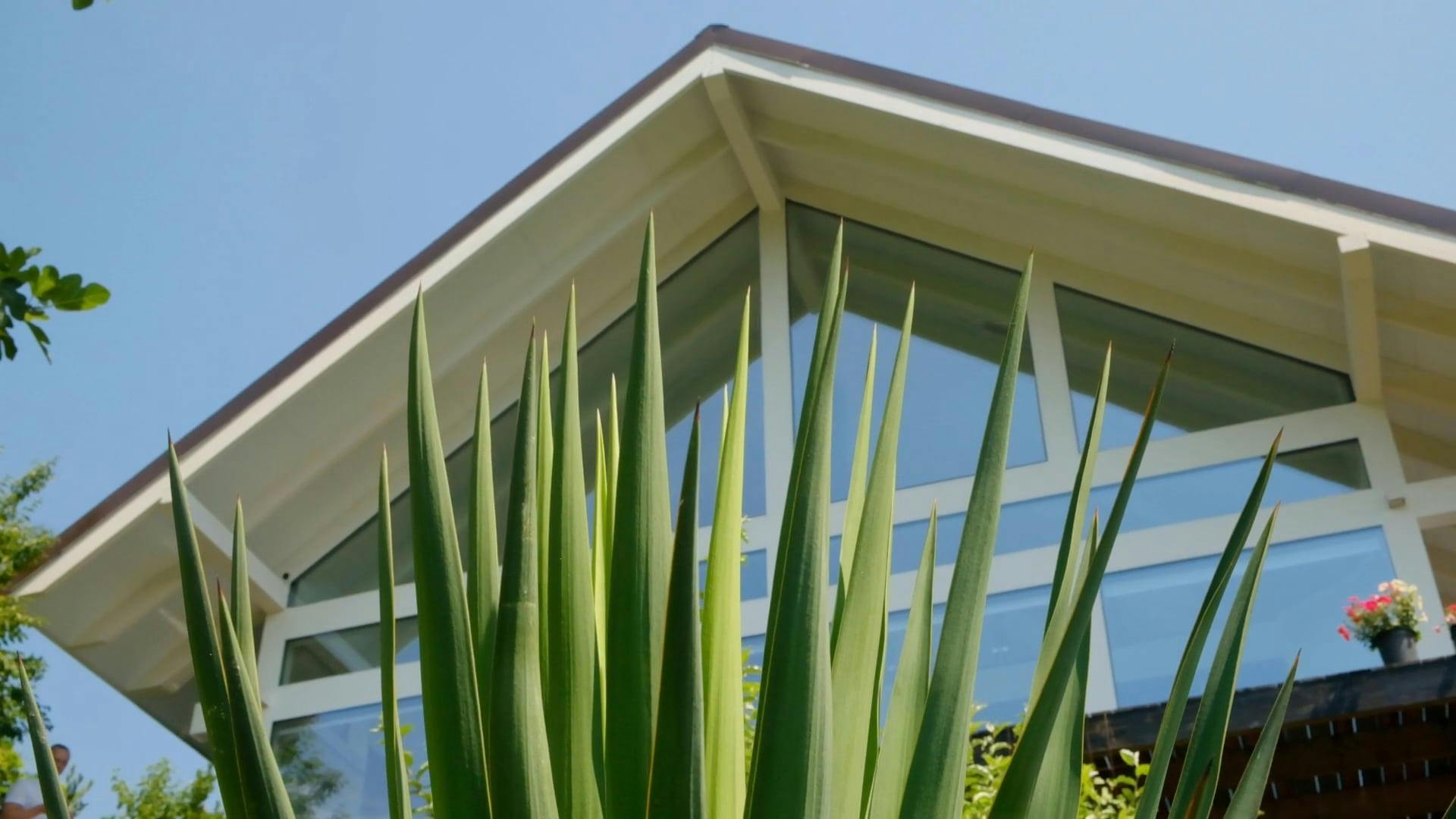 Building Front View Videos, Download The BEST Free 4k Stock Video ...